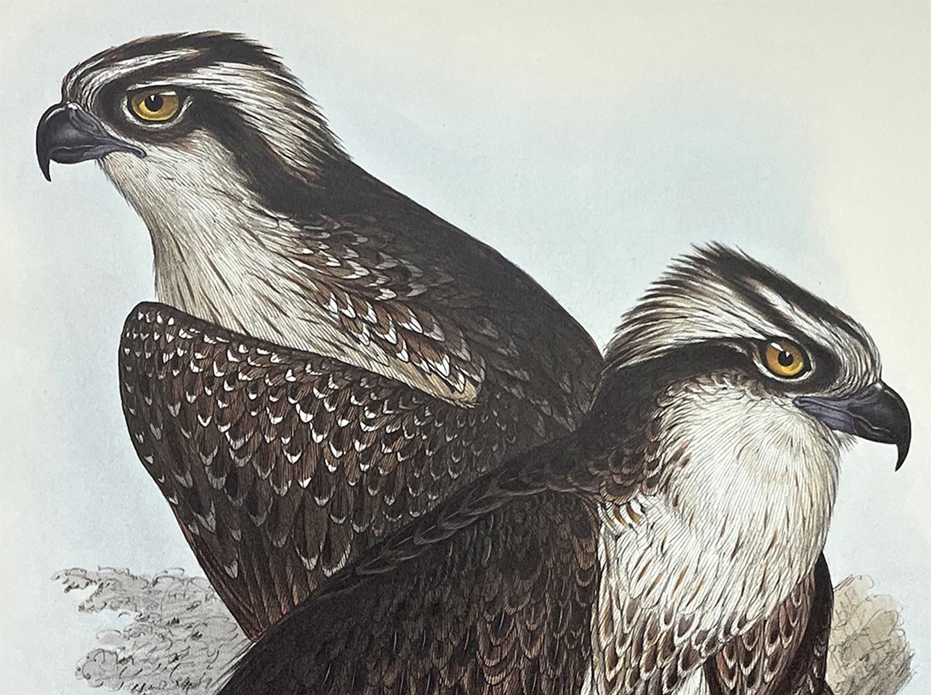 Auctioneers In Cornwall | Antique Dealers In Cornwall | David Lay ...