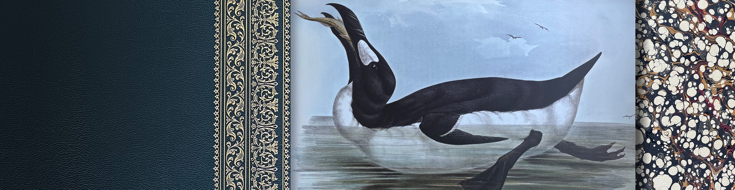 Auctioneers In Cornwall | Antique Dealers In Cornwall | David Lay ...