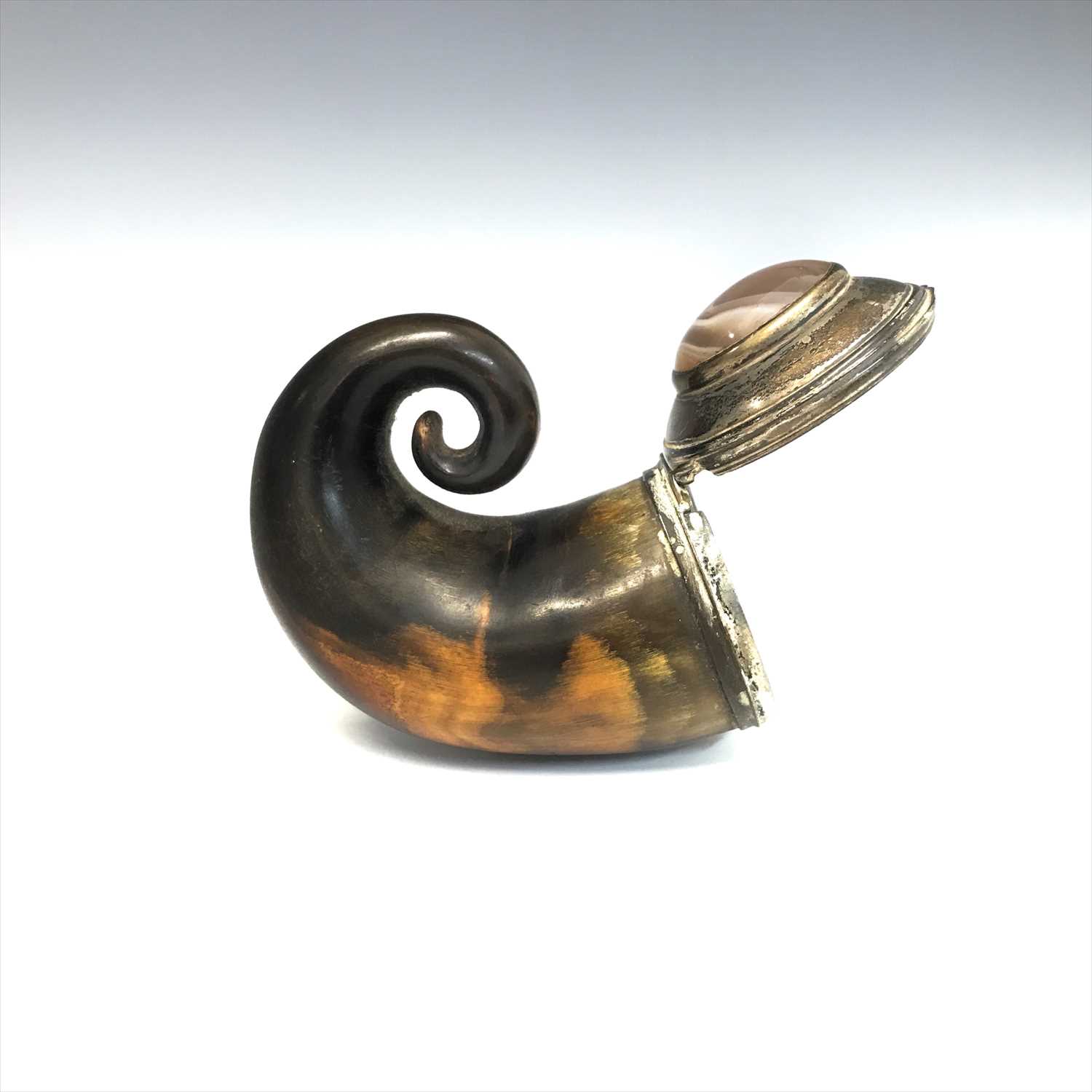 Lot 2722 - A Scottish snuff mull with plain silver