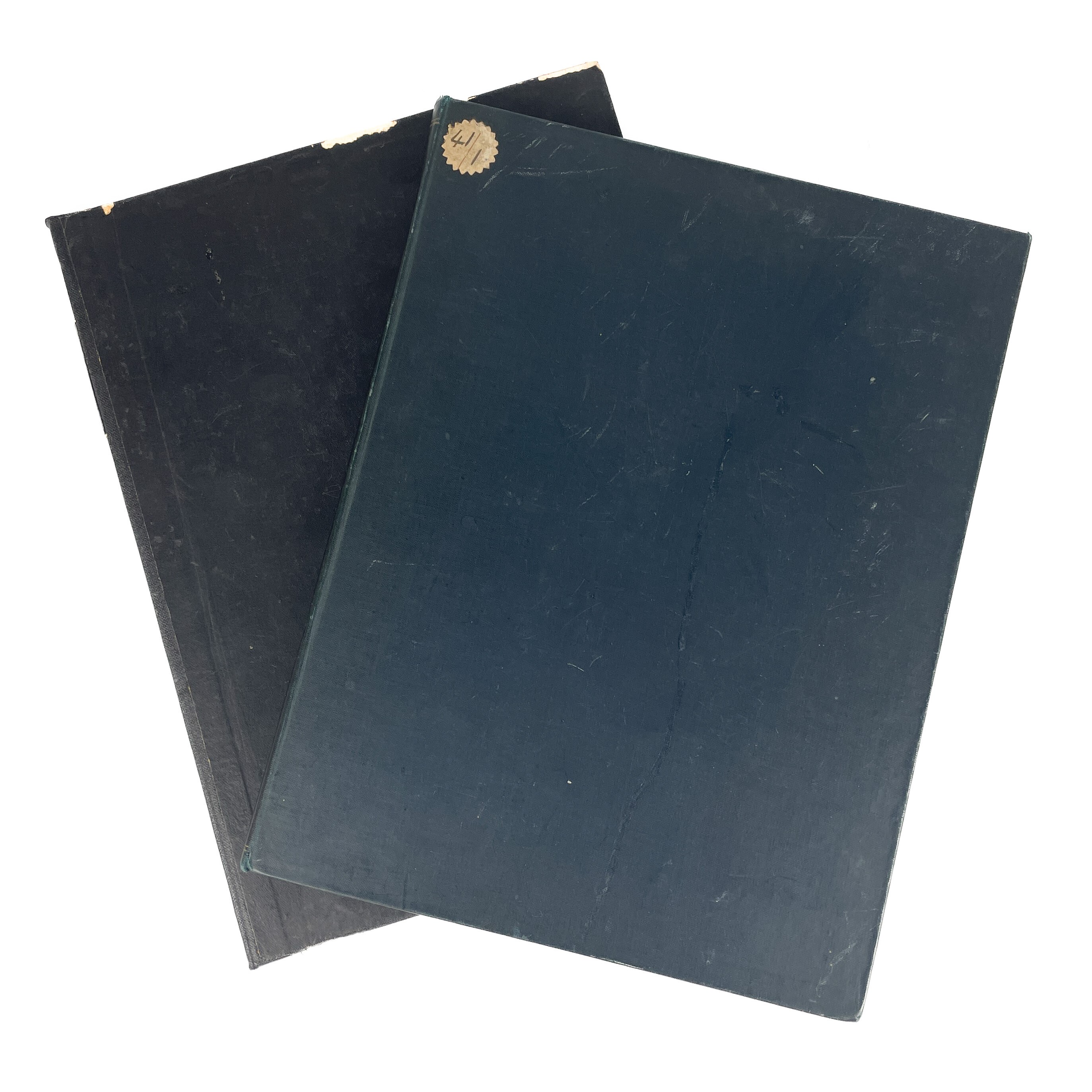 Lot 301 - The Cerebral Cortex and the Motor Cortex.