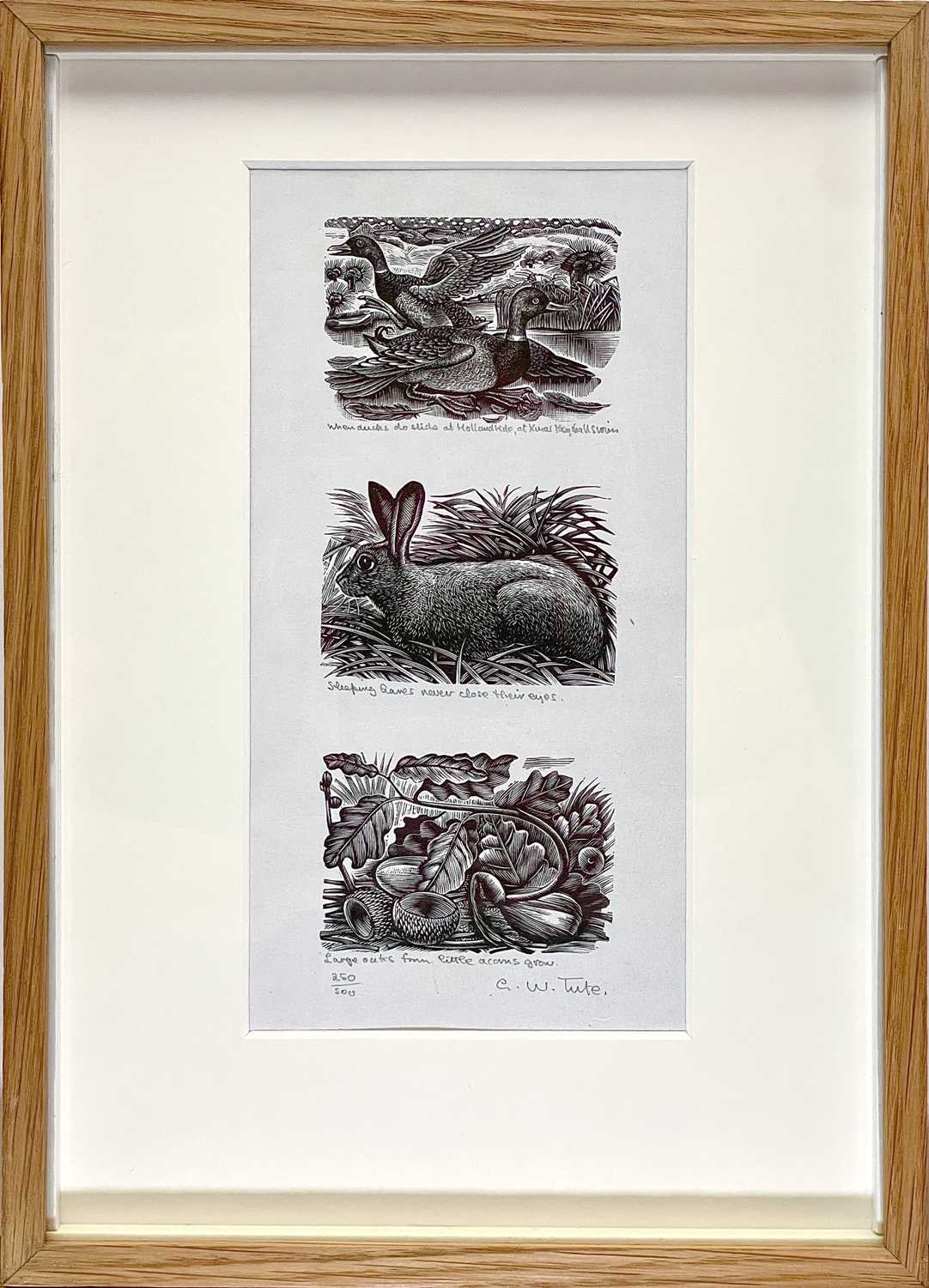 Lot 55 - George William TUTE (1933)