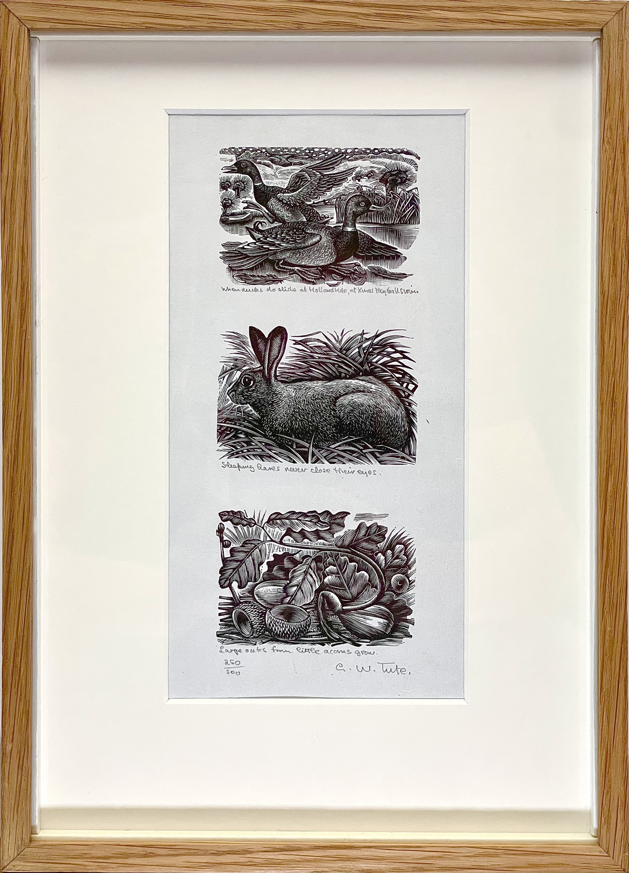 Lot 55 - George William TUTE (1933)