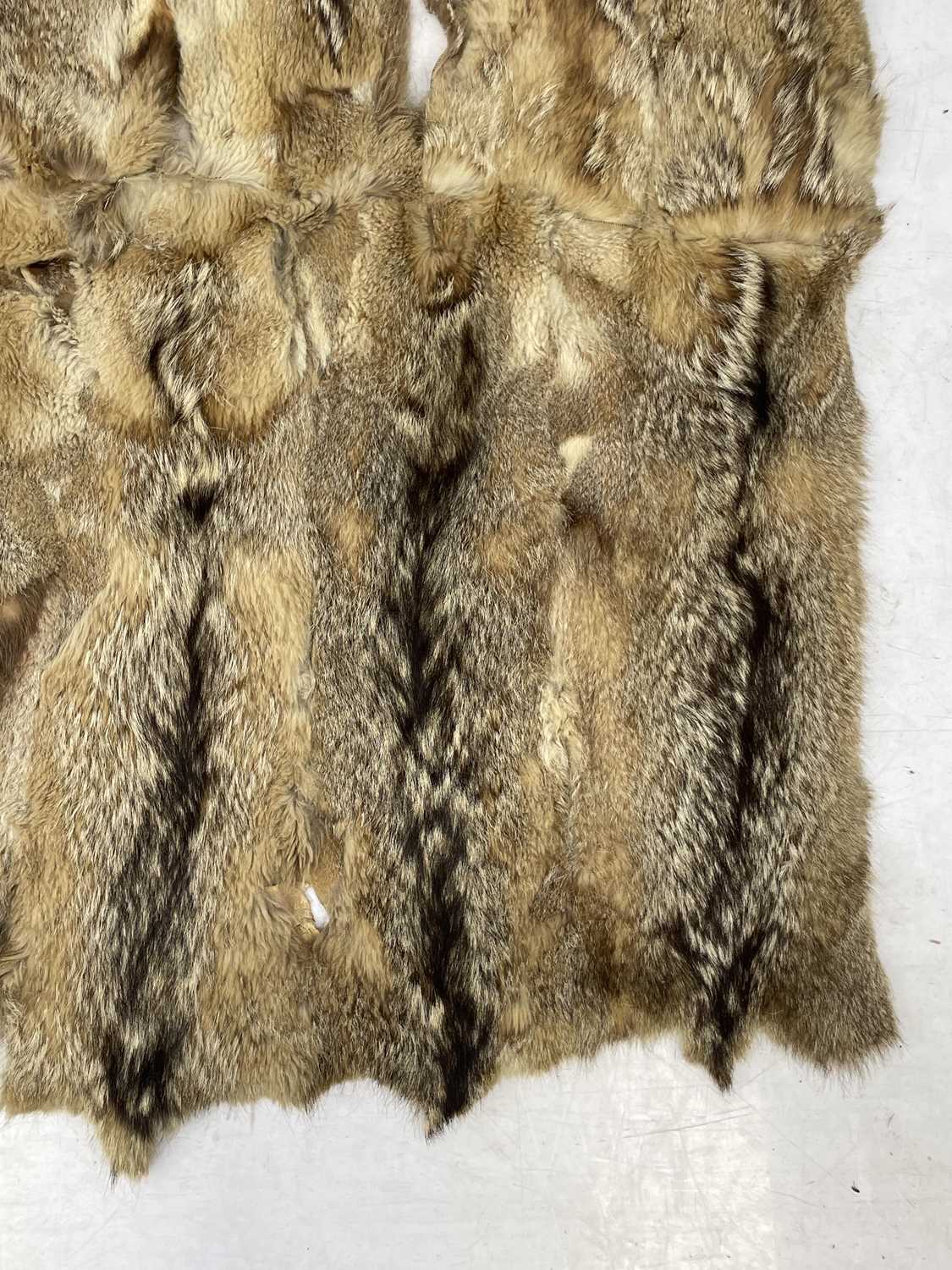 Lot 218 - An Argentine wolf tail skin rug.