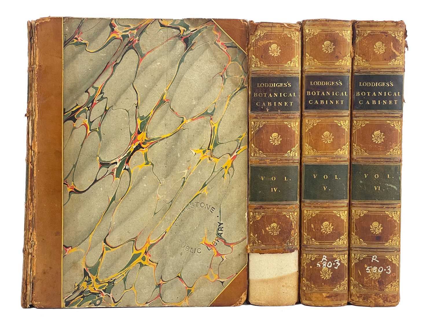 Lot 17 - (Botanic illustrations) George Cook.