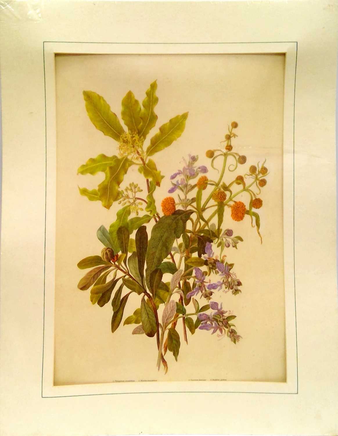 Lot 141 - After Francis Le Marchant