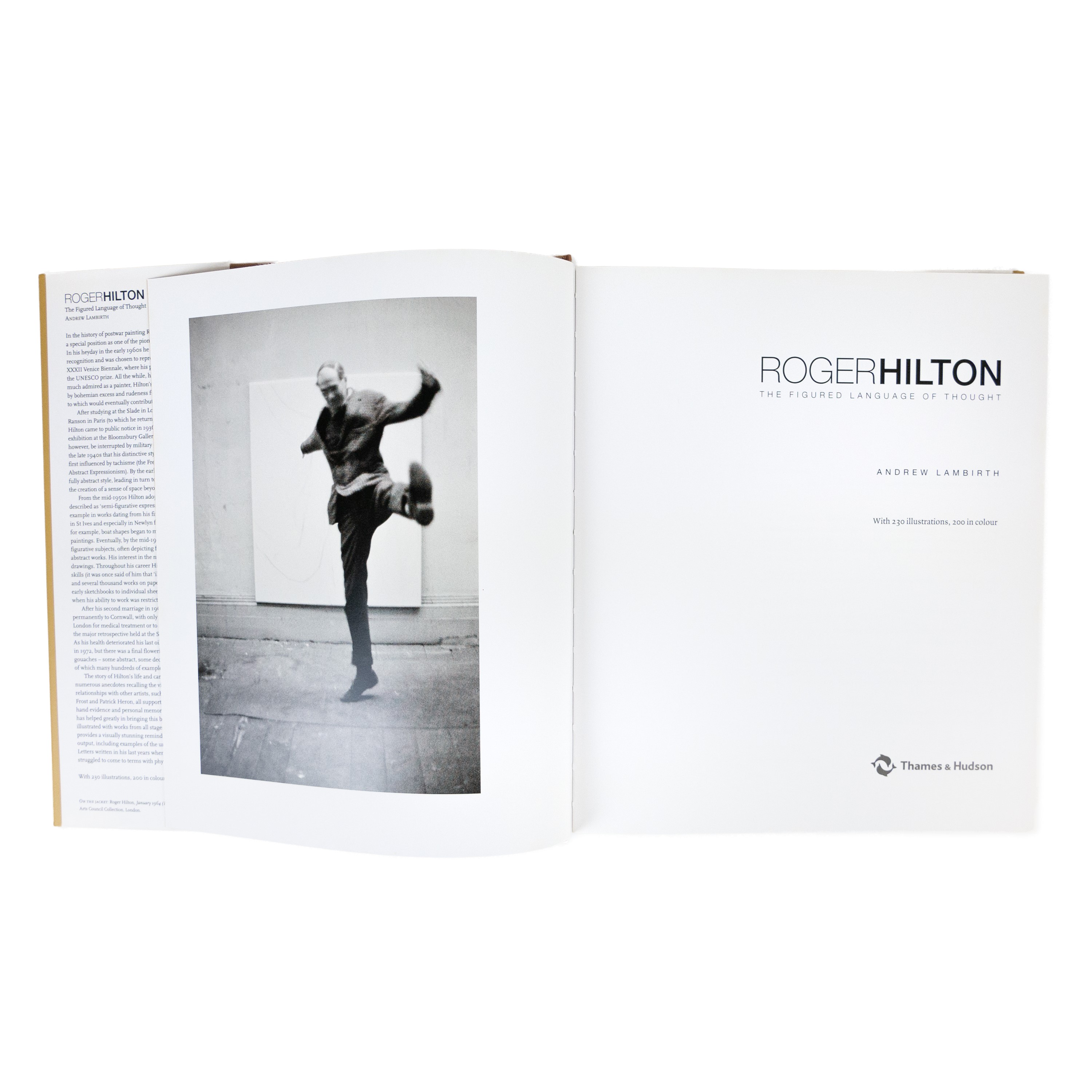 Lot 79 - 'Roger Hilton - The Figured Language of