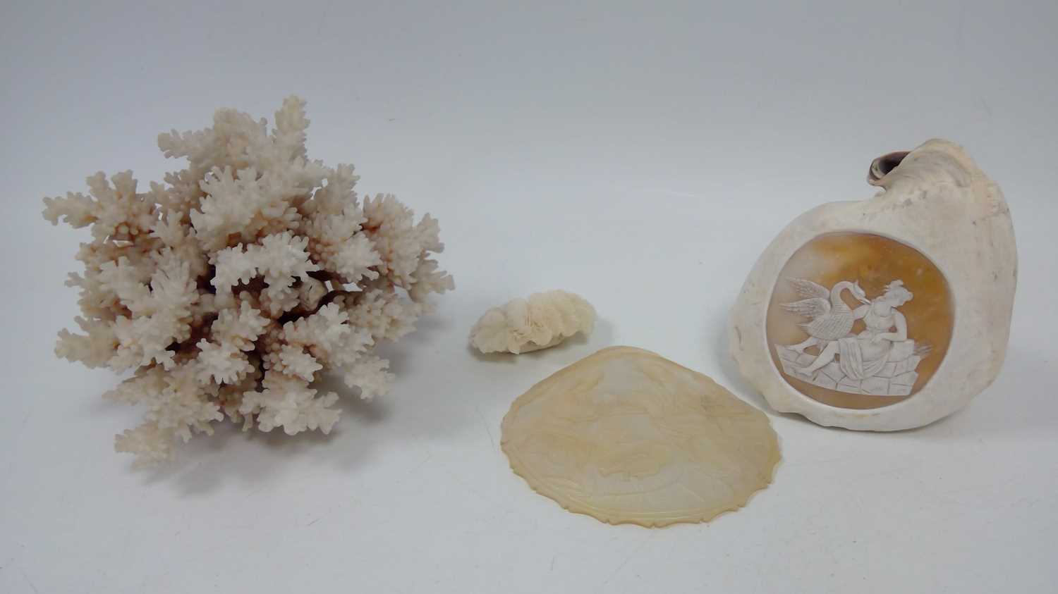 Lot 58 - Two shells that have been decoratively carved