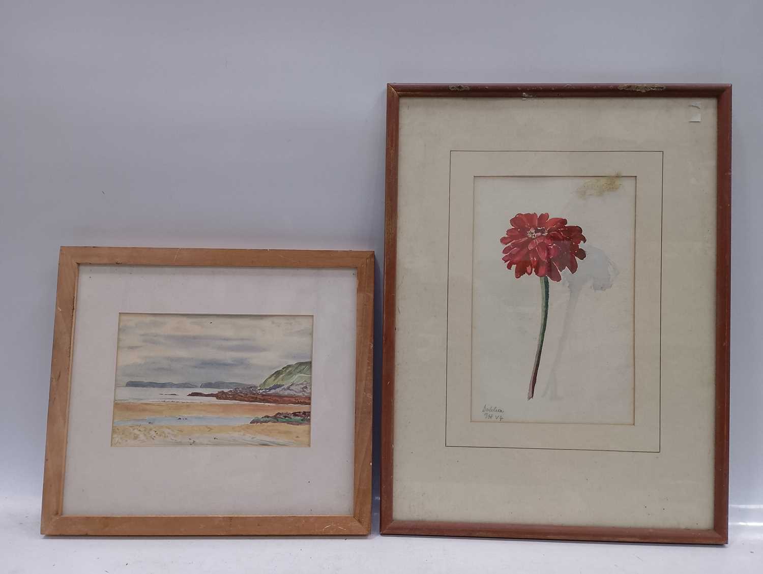Lot 167 - Isobel Atterbury HEATH Dahlia Watercolour