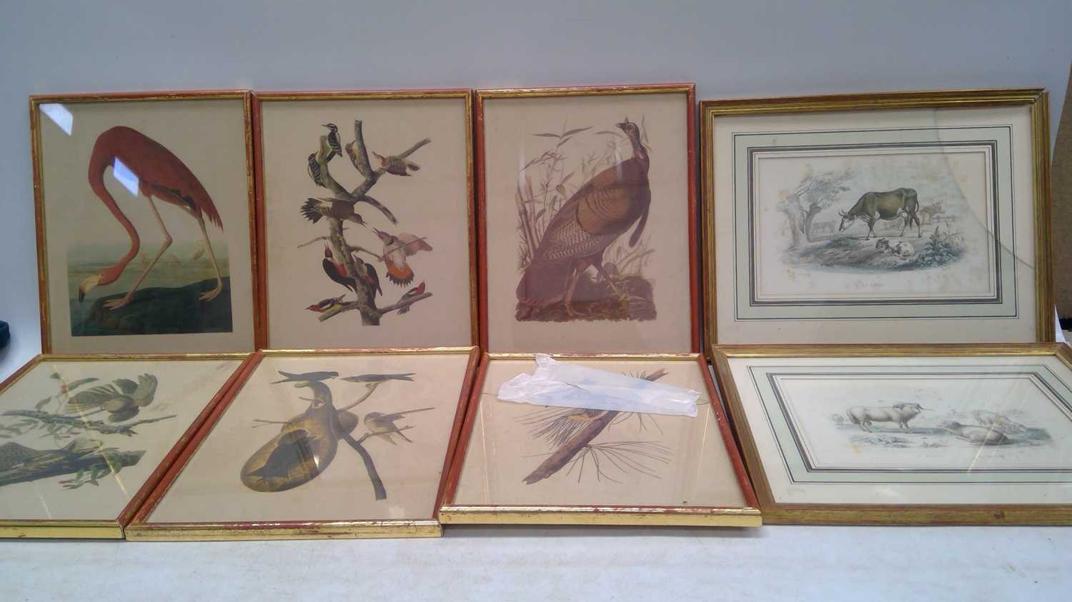 Lot 205 - Bird lithographs and other prints, the