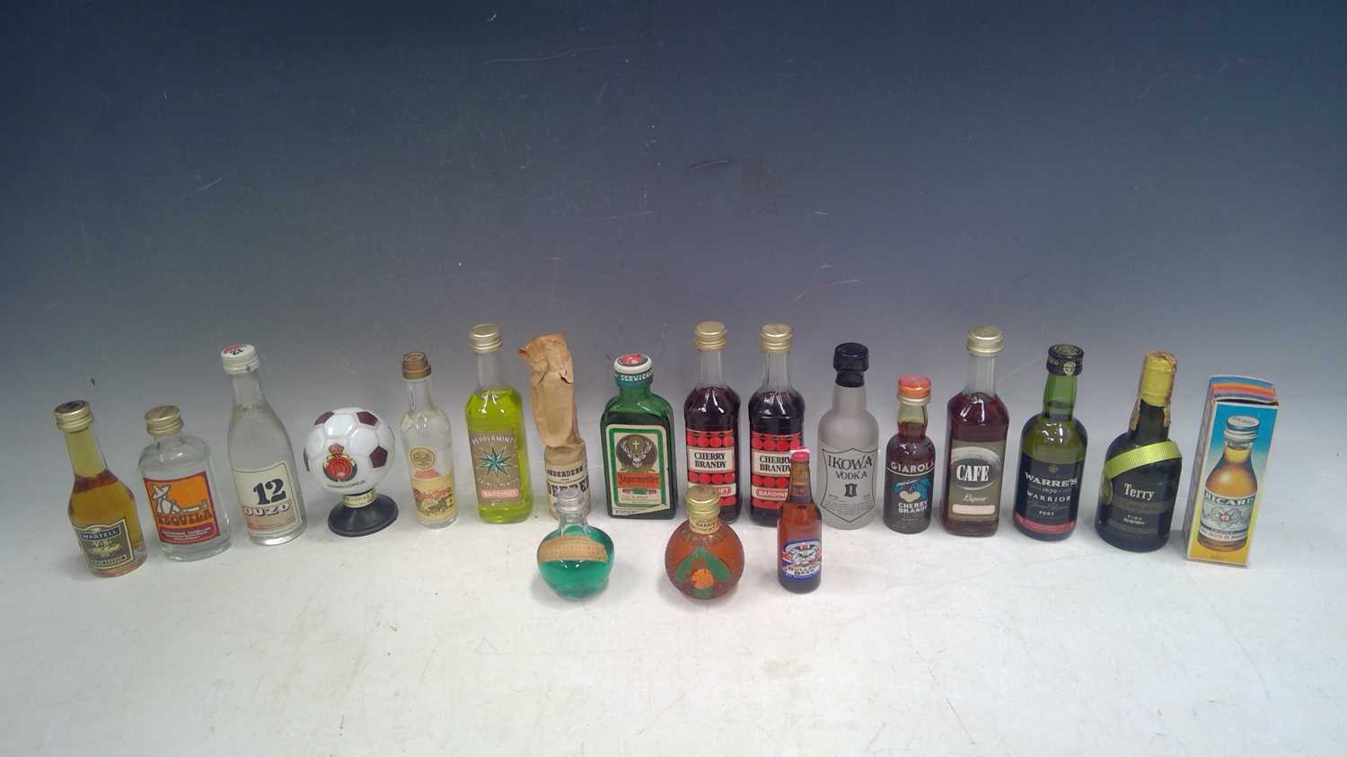 Lot 298 - Alcohol miniatures,