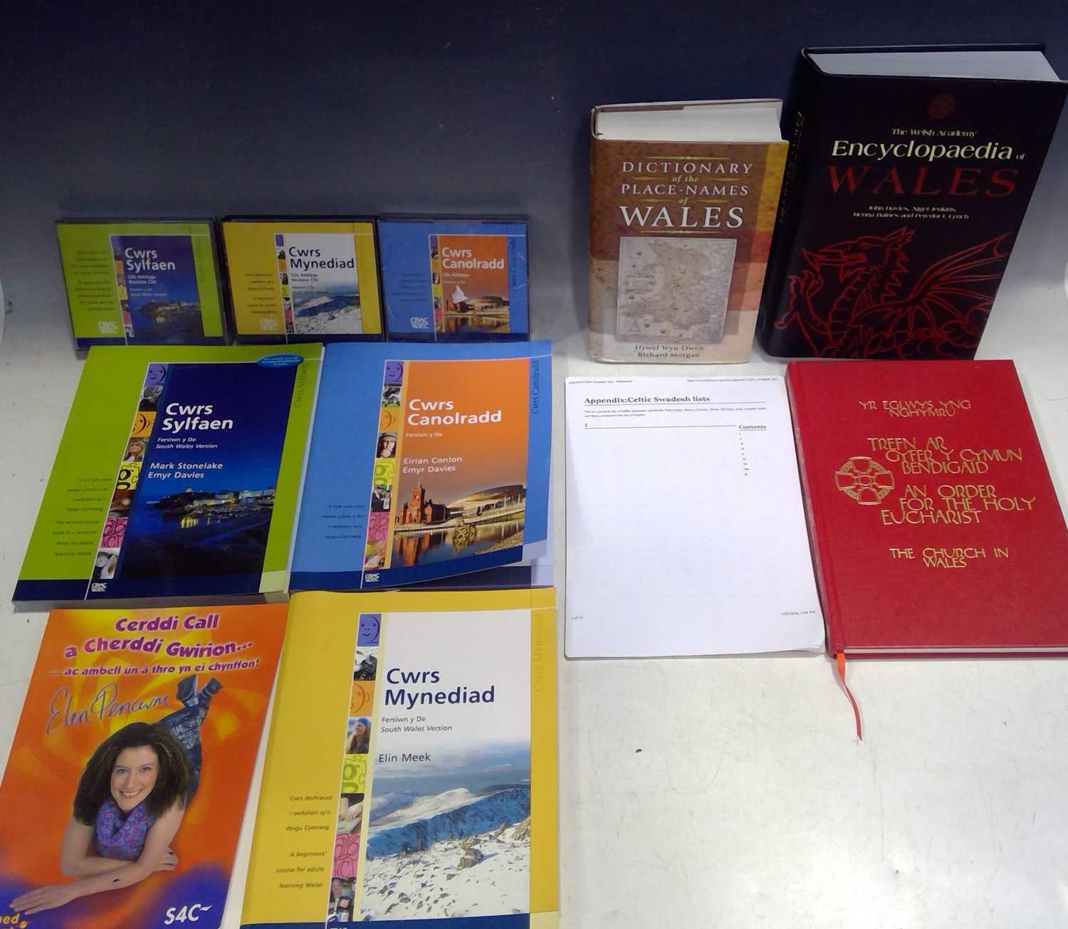 Lot 169 - Welsh Language Books and CDs.