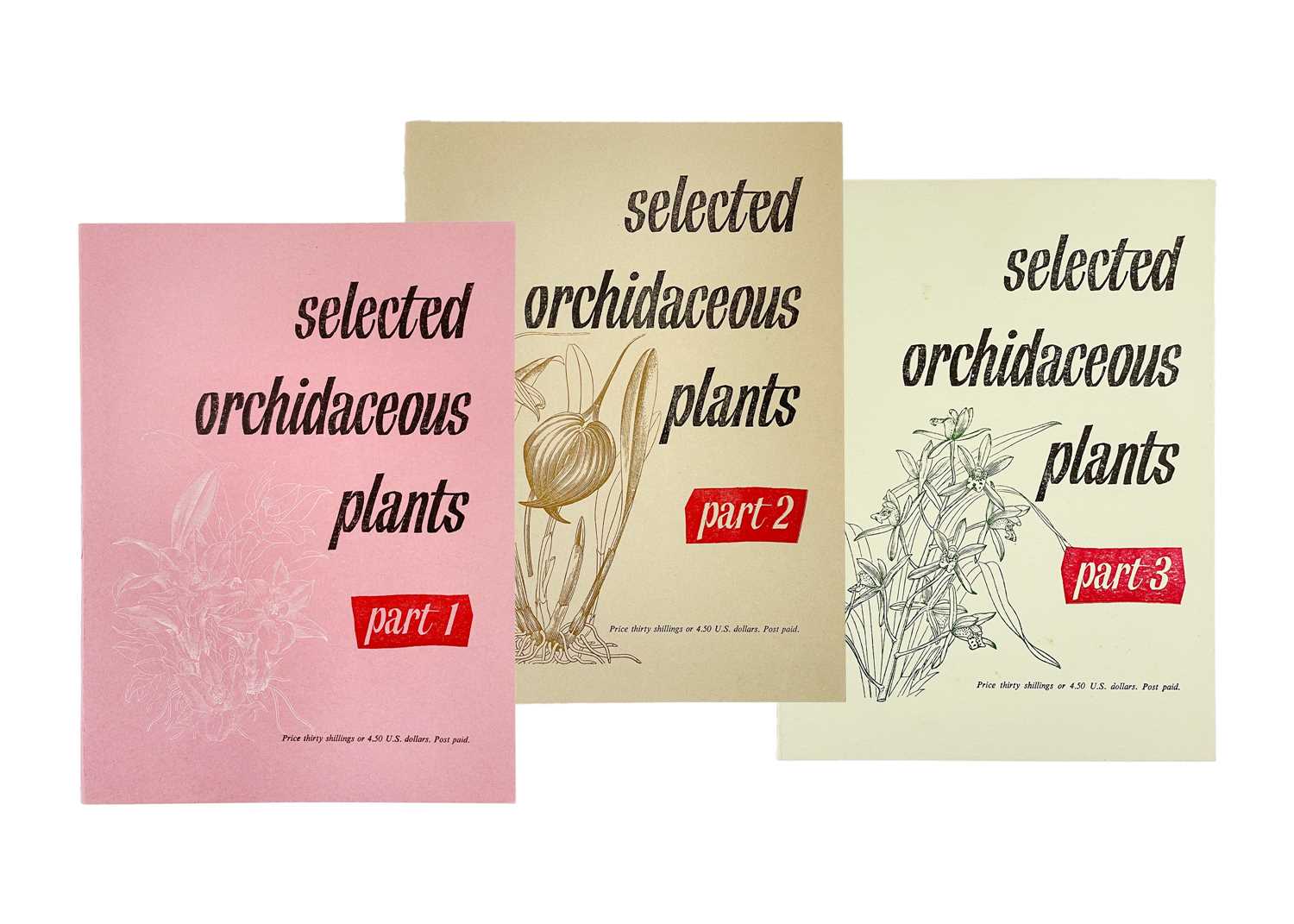 Lot 369 - (Botany) Roy Grubb