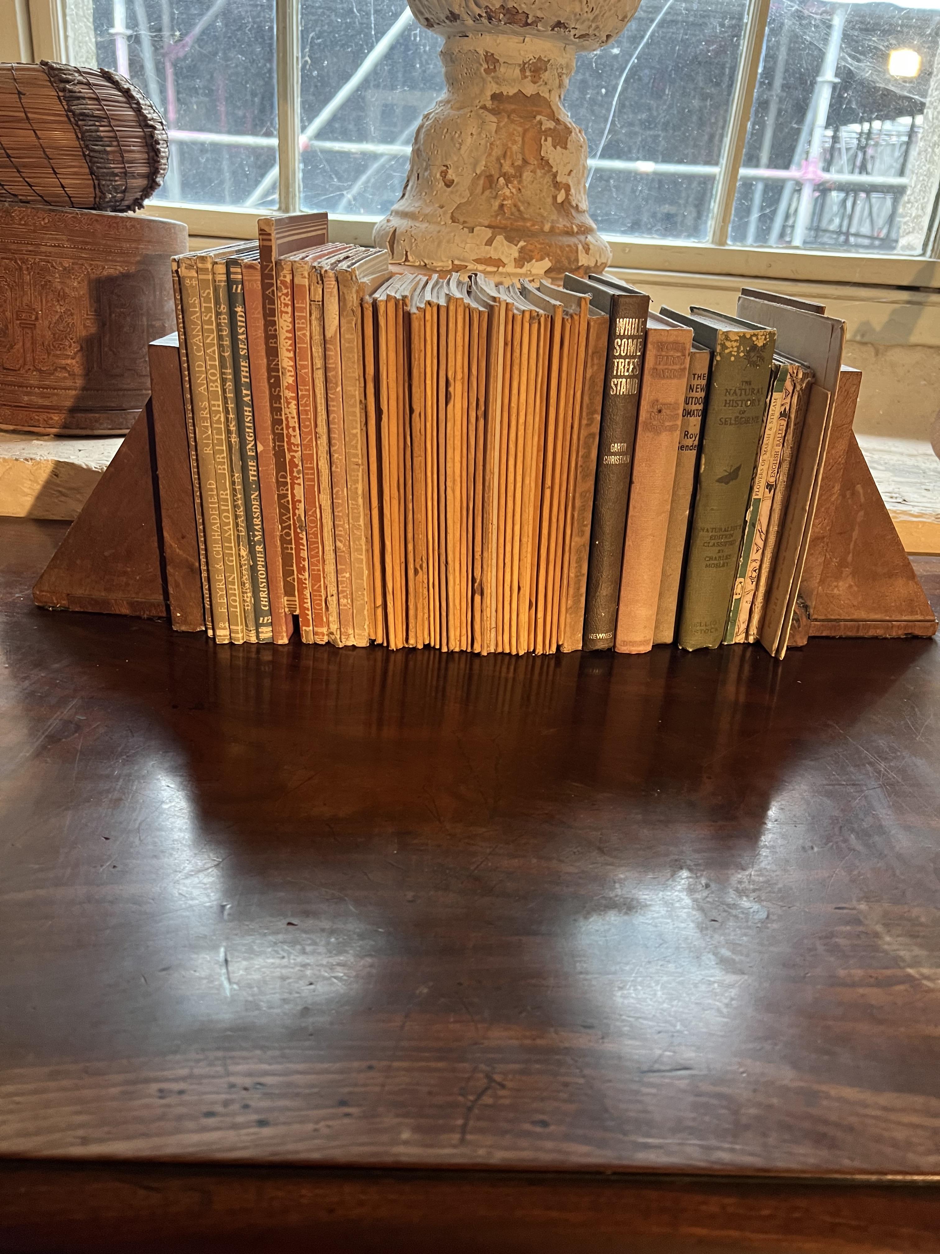 Lot 498 - Robin Nance