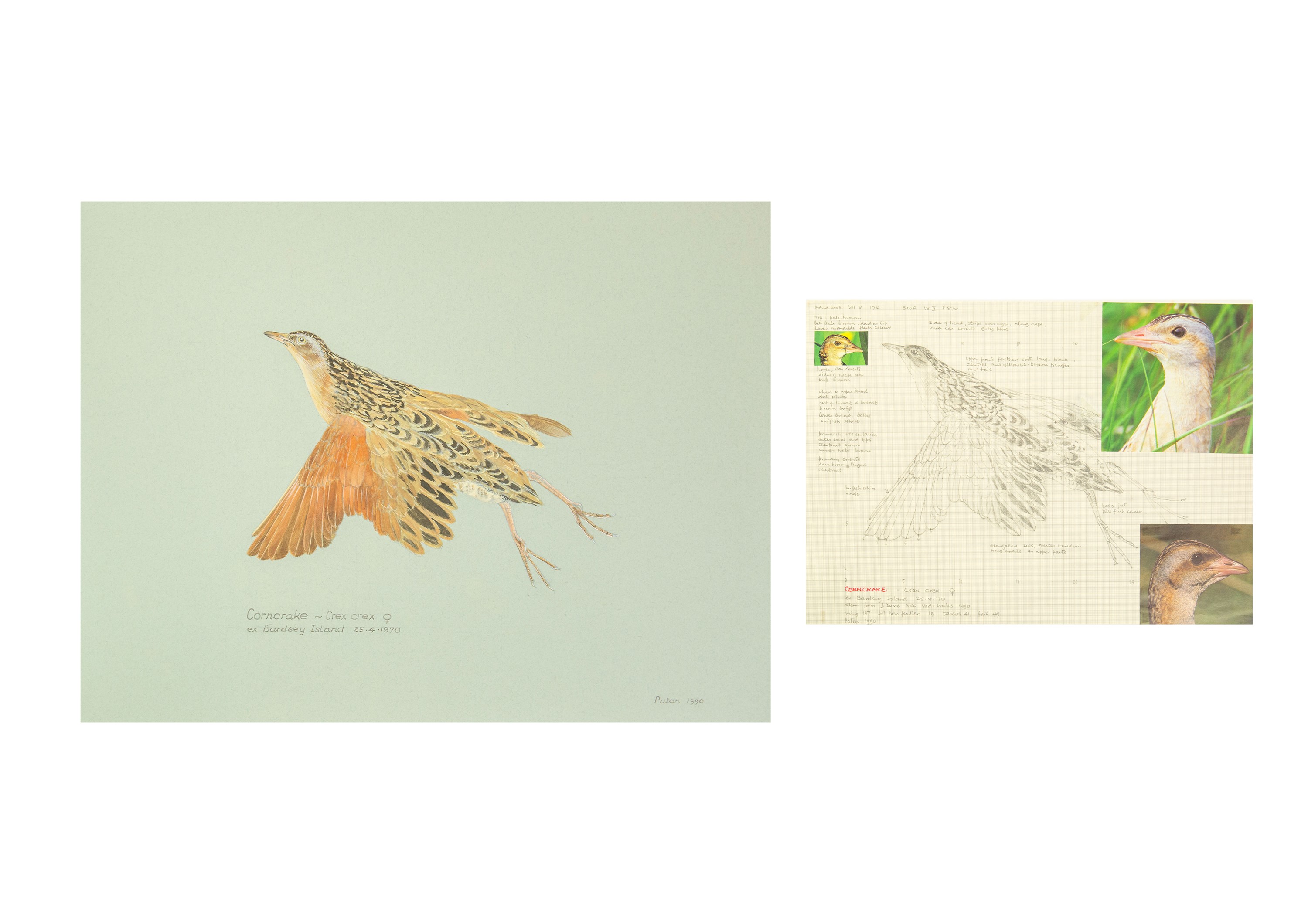 Lot 338 - Valentine Stewart 'Pat' PATON (1925-2012)