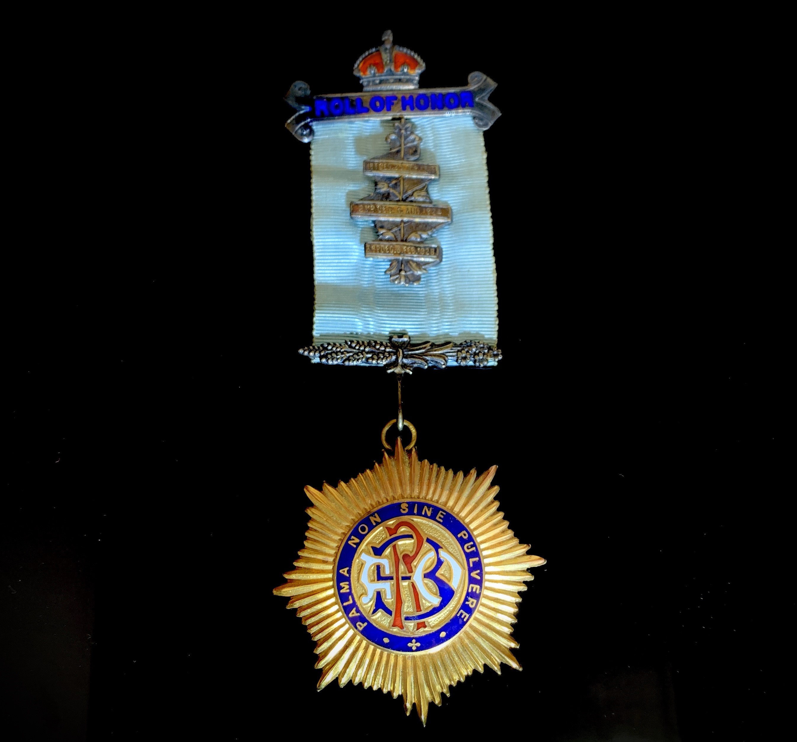 Lot 261 - RAOB Medals - 9ct gold Roll of Honor Medal