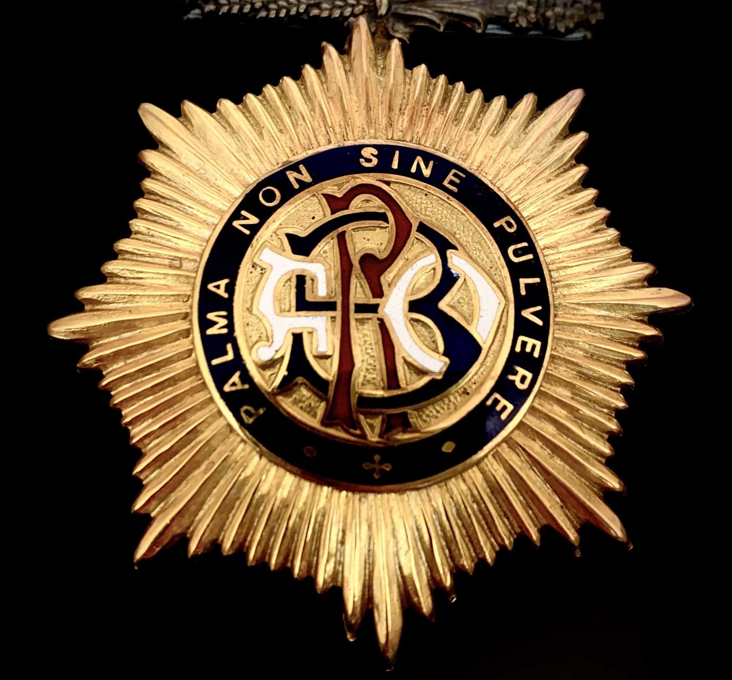 Lot 261 - RAOB Medals - 9ct gold Roll of Honor Medal