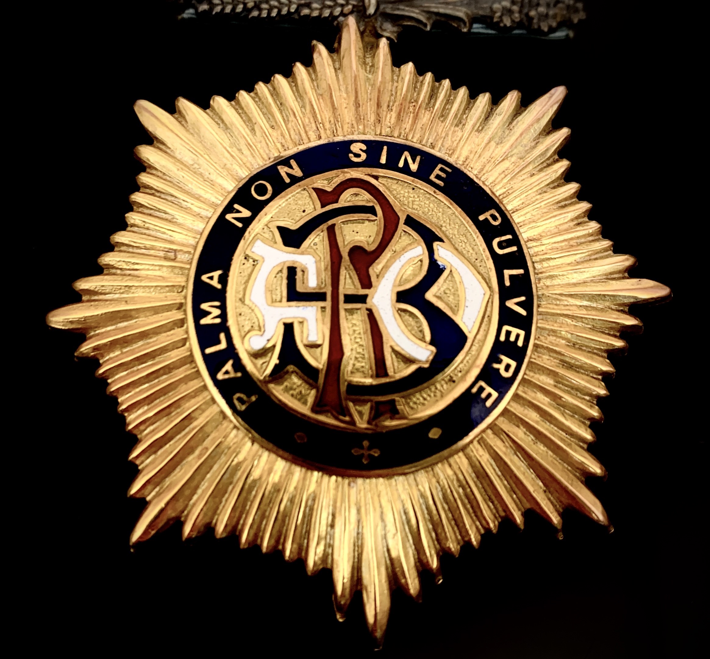 Lot 261 - RAOB Medals - 9ct gold Roll of Honor Medal