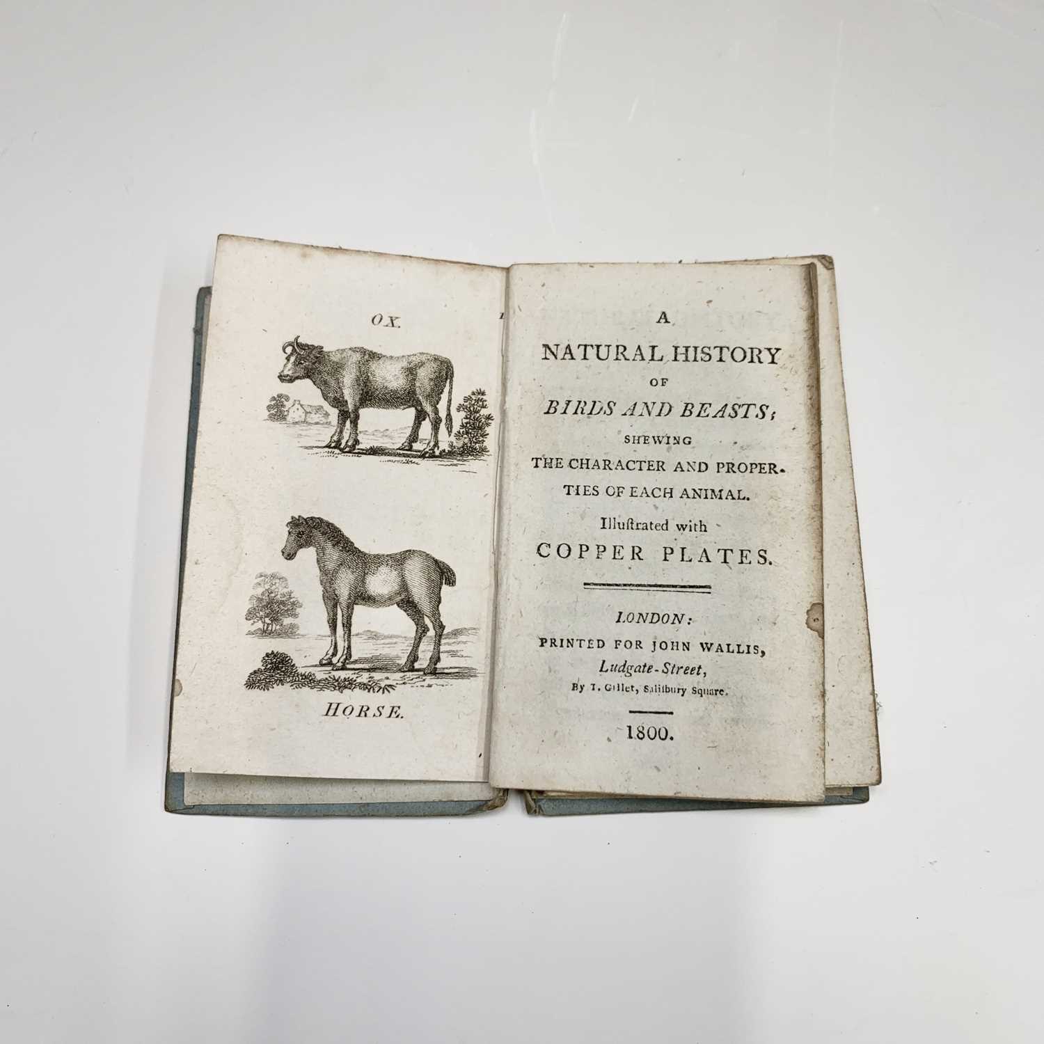 Lot 1235 - EARLY CHILDREN'S BOOK "A Natural History of