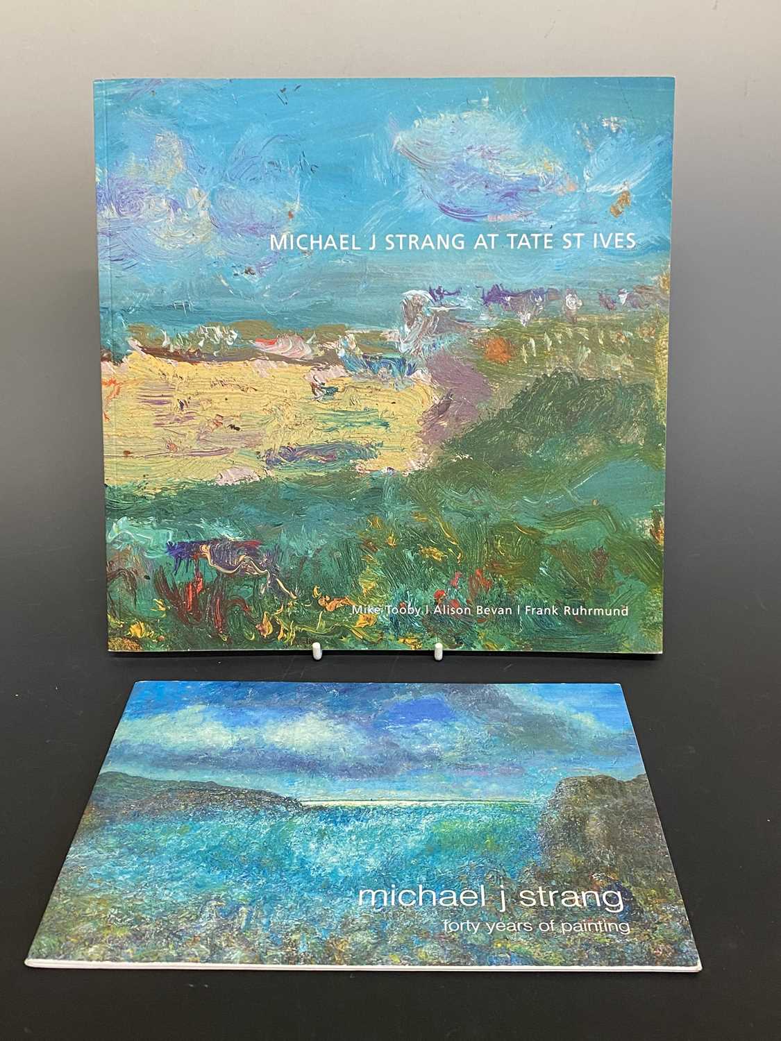 Lot 504 - 'Michael J Strang at Tate St Ives' signed by