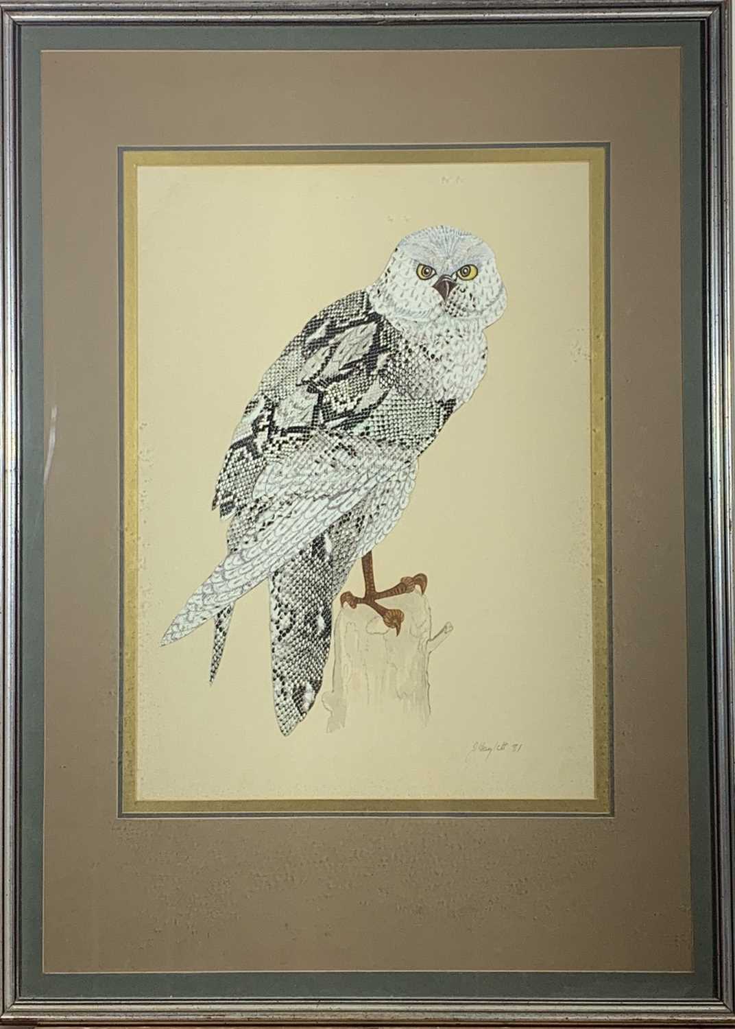 Lot 1545 - Jean HAYLETT (20th Century) Owl Mixed media