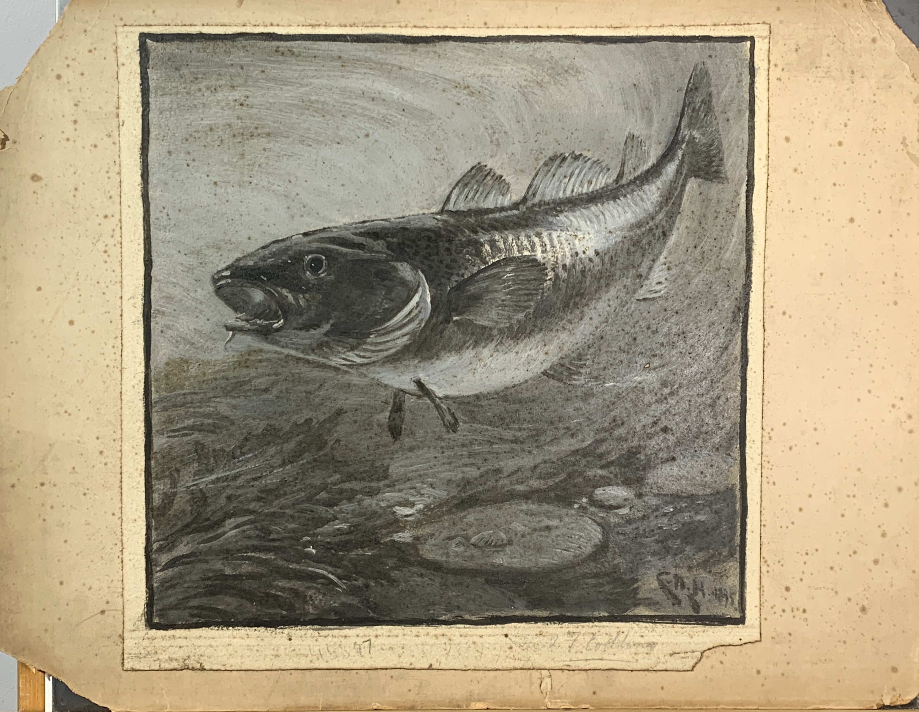 Lot 20 - Charles Napier HEMY (1841-1917) Codling Oil