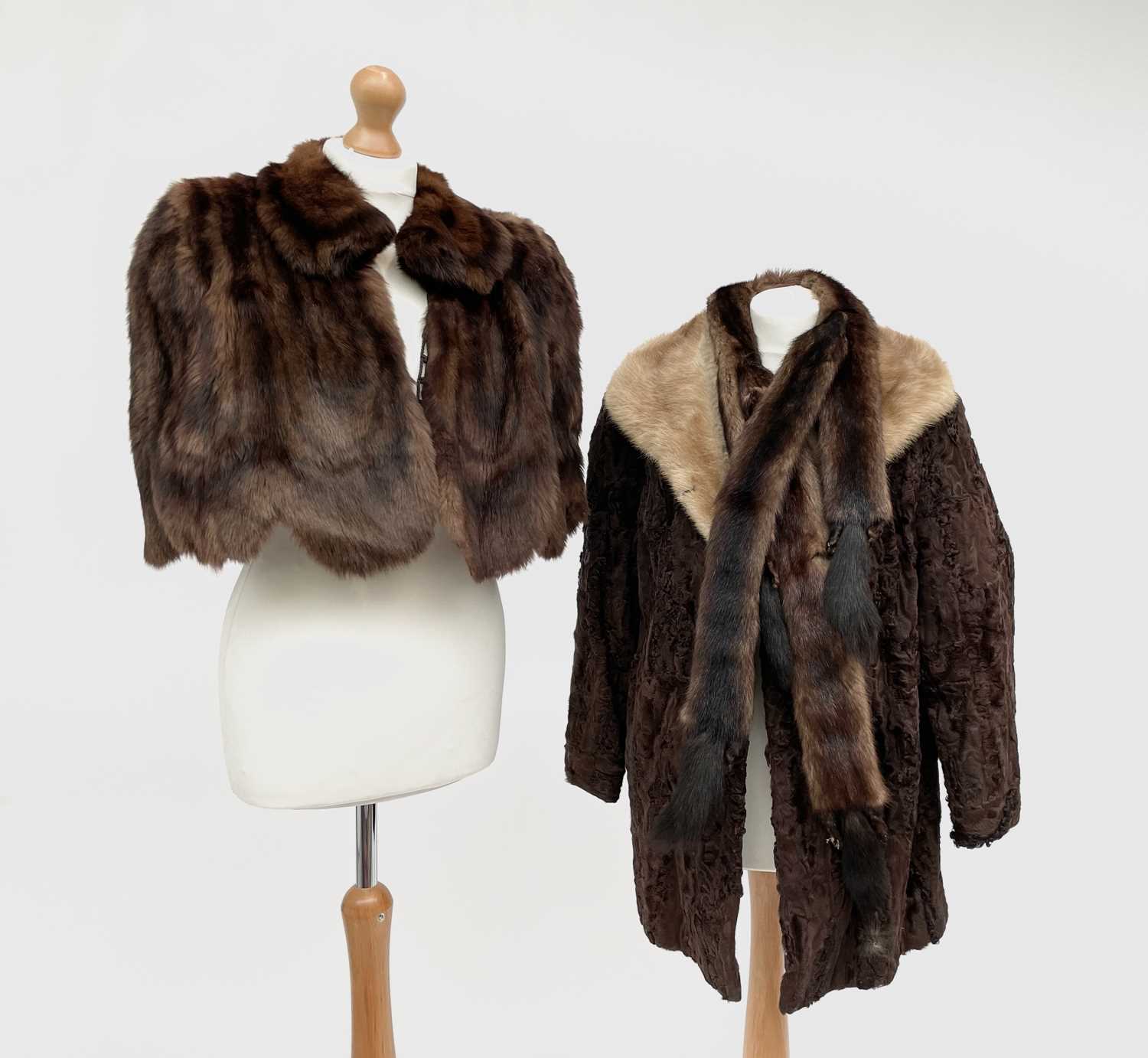 Lot 2813 - A Dominion Fur Co. Limited brown astrakhan