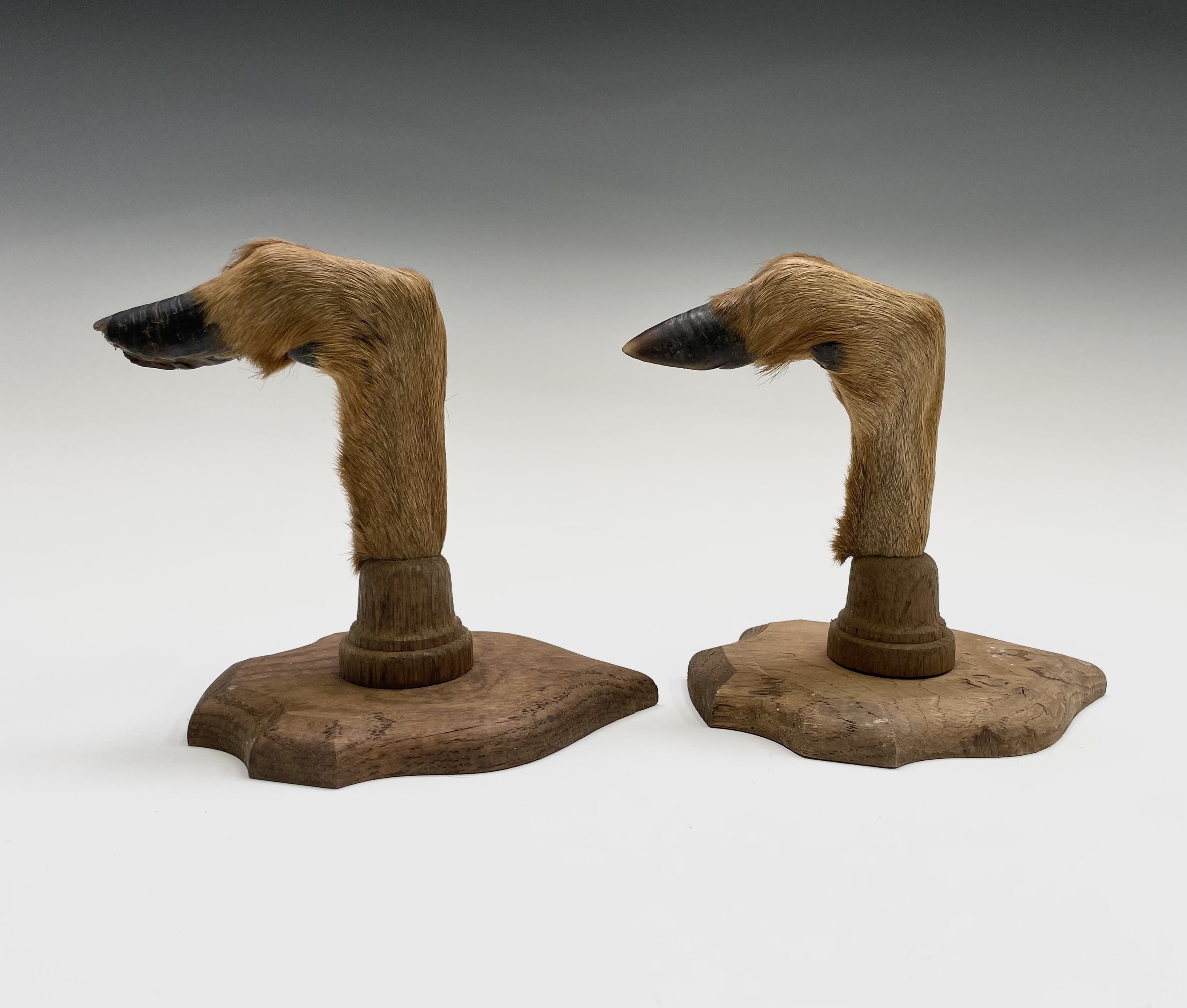 Lot 182 - Taxidermy - A set of seven deer foot coat