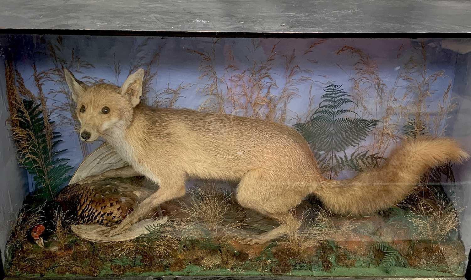 Lot 156 - A taxidermy stuffed and mounted fox with