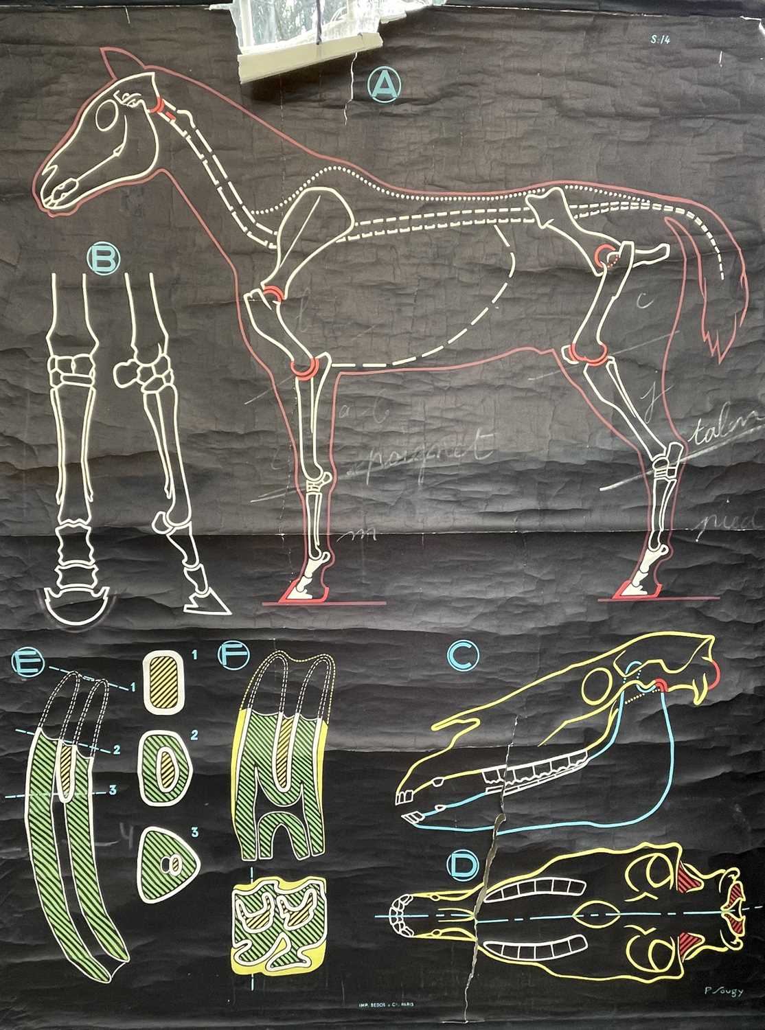 Lot 306 - A mid century French pull-down educational