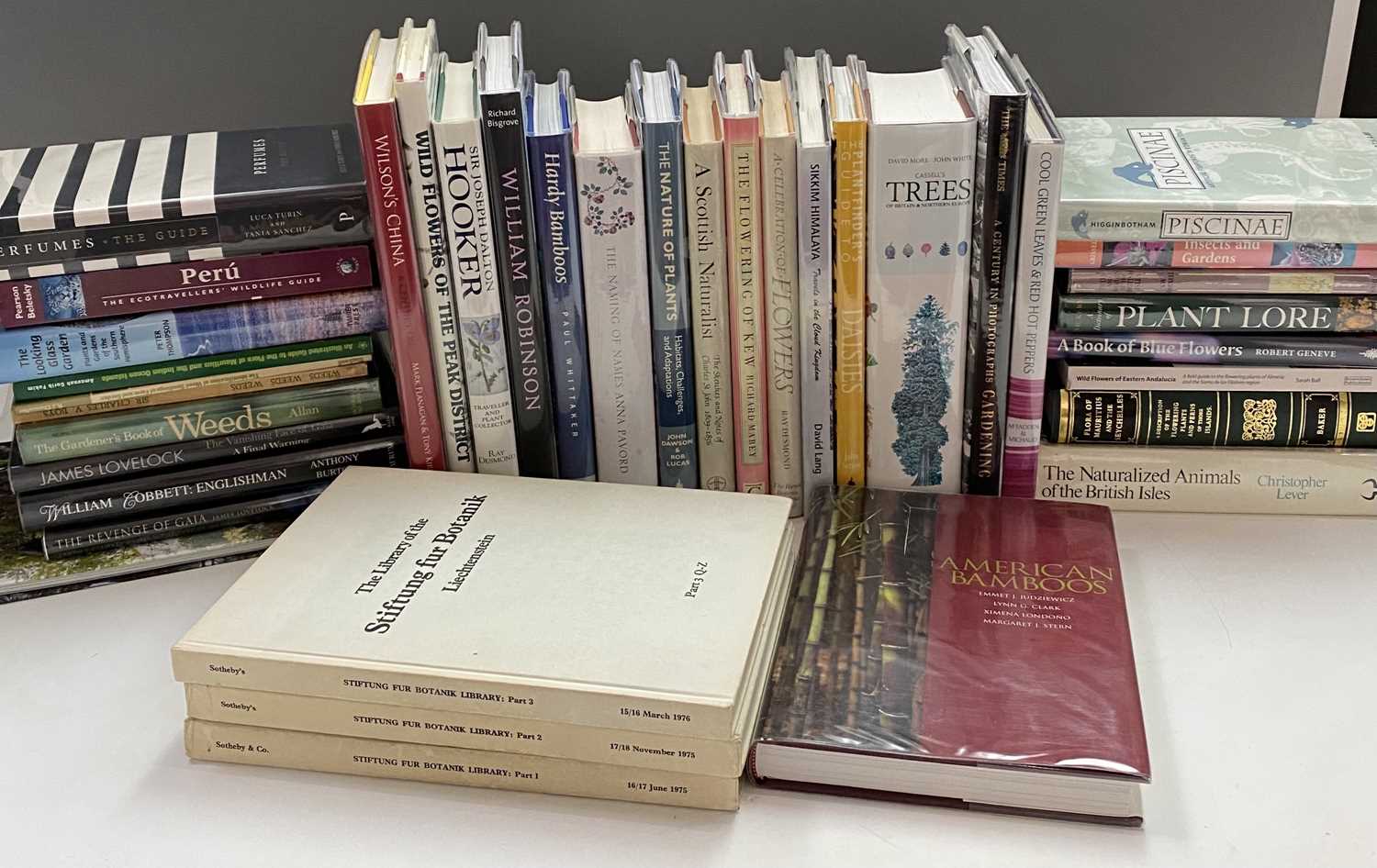 Lot 413 - EMMET J. JUDZIEWICZ et al. 'American Bamboos'