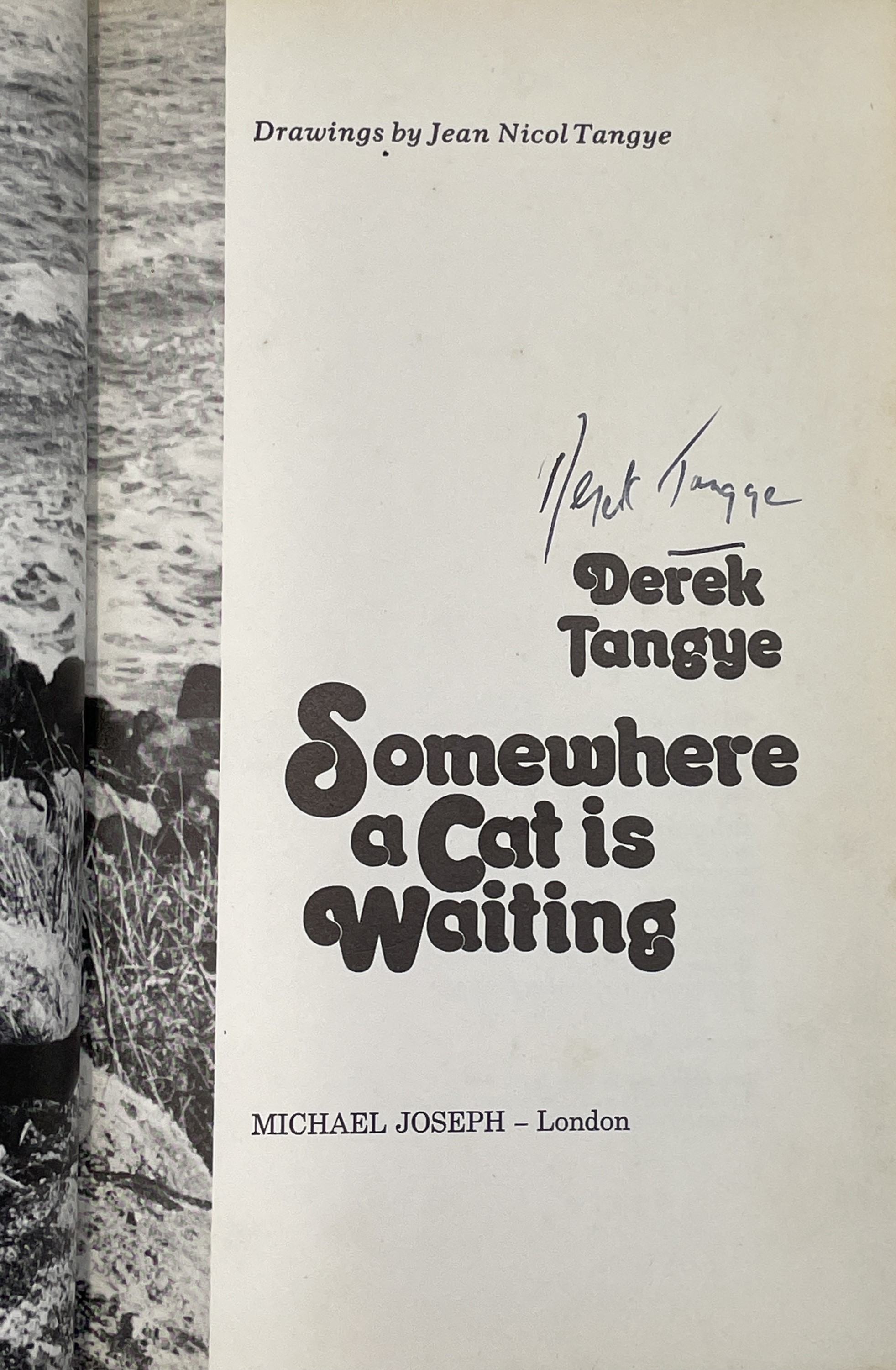 Lot 15 - DEREK TANGYE. 'Somewhere a Cat is Waiting.'
