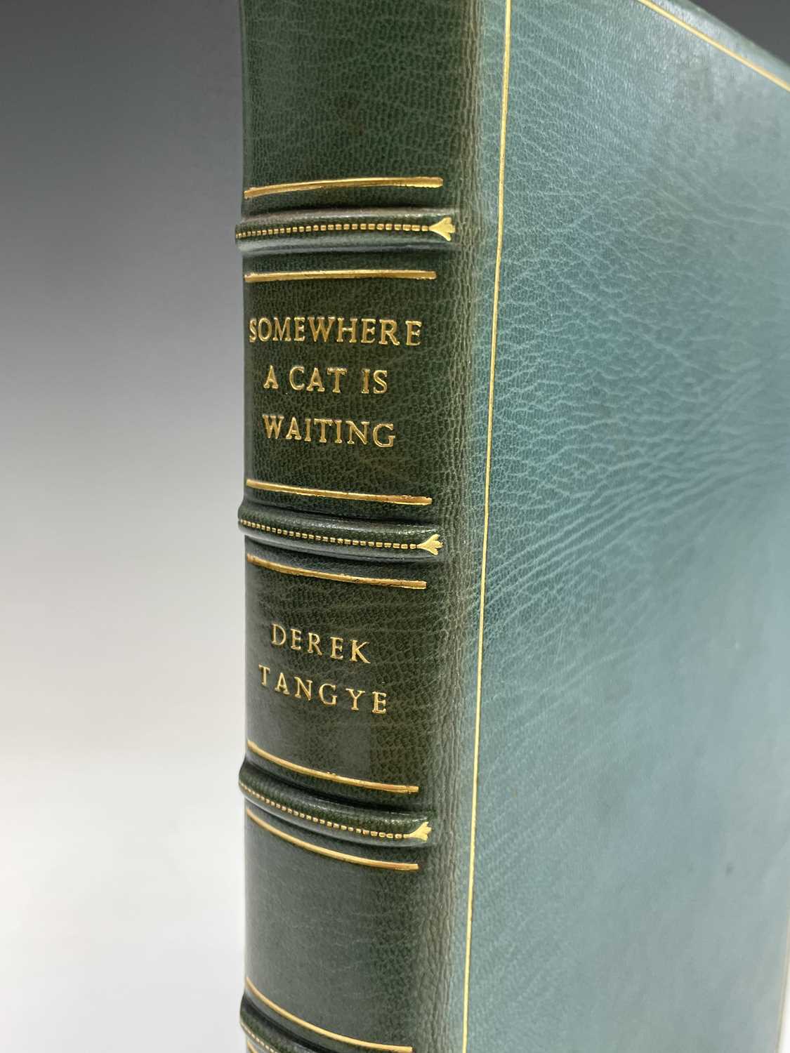 Lot 15 - DEREK TANGYE. 'Somewhere a Cat is Waiting.'