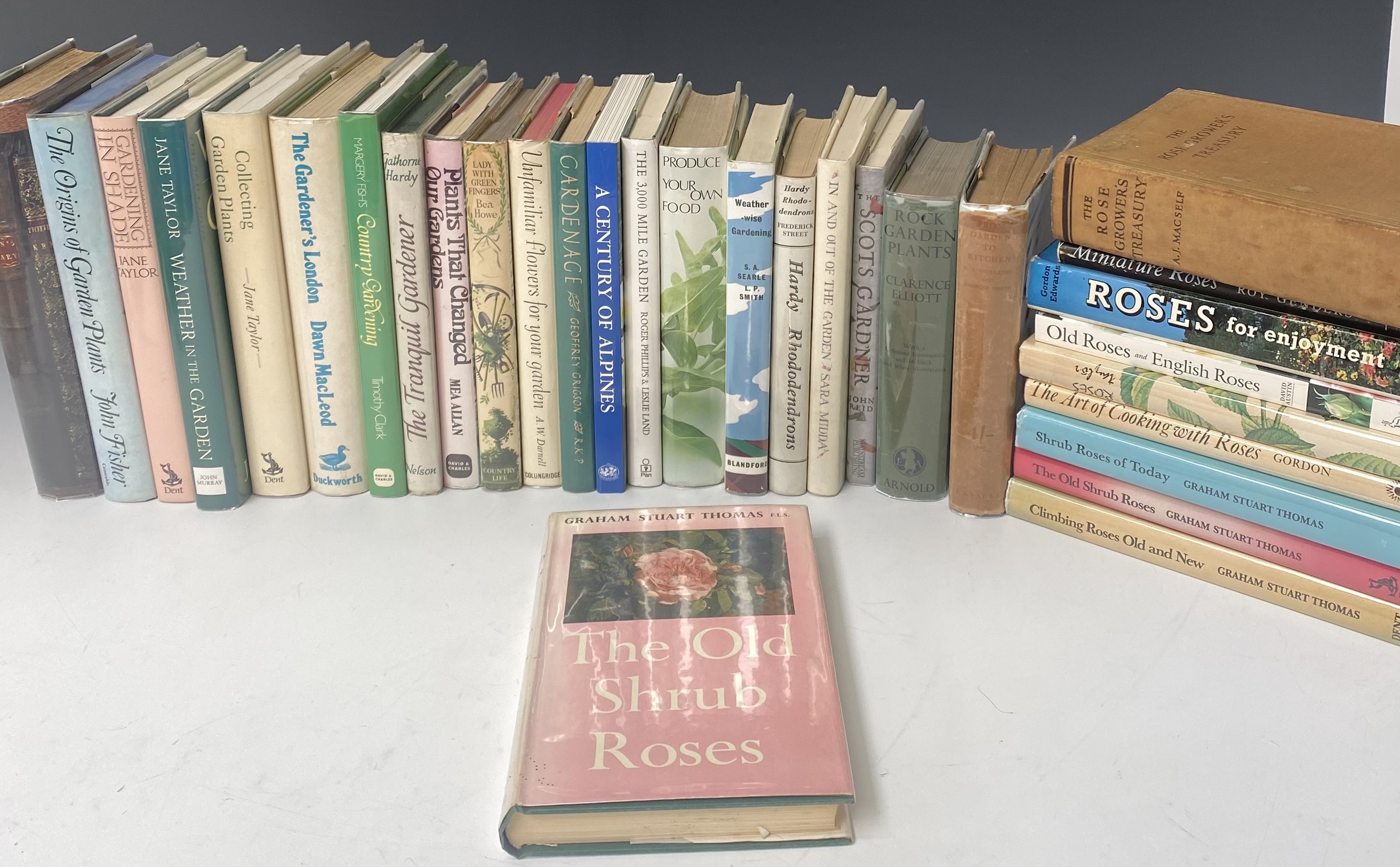 Lot 544 - GRAHAM STUART THOMAS. 'The Old Shrub Roses.'