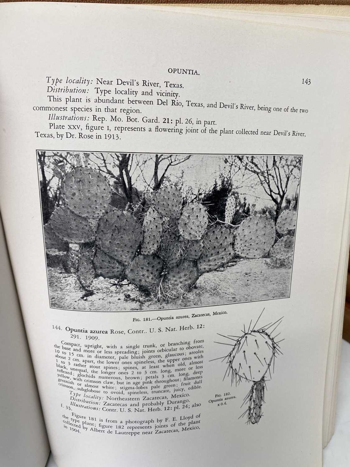 Lot 547 - NATHANIEL LORD BRITTON and JOSEPH NELSON