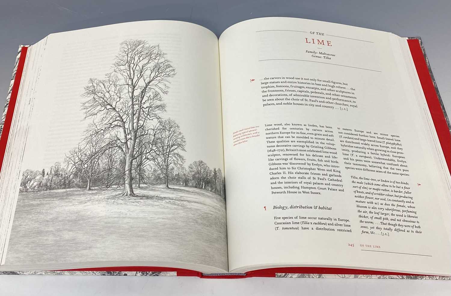 Lot 554 - GABRIEL HEMERY and SARAH SIMBLET. 'The New