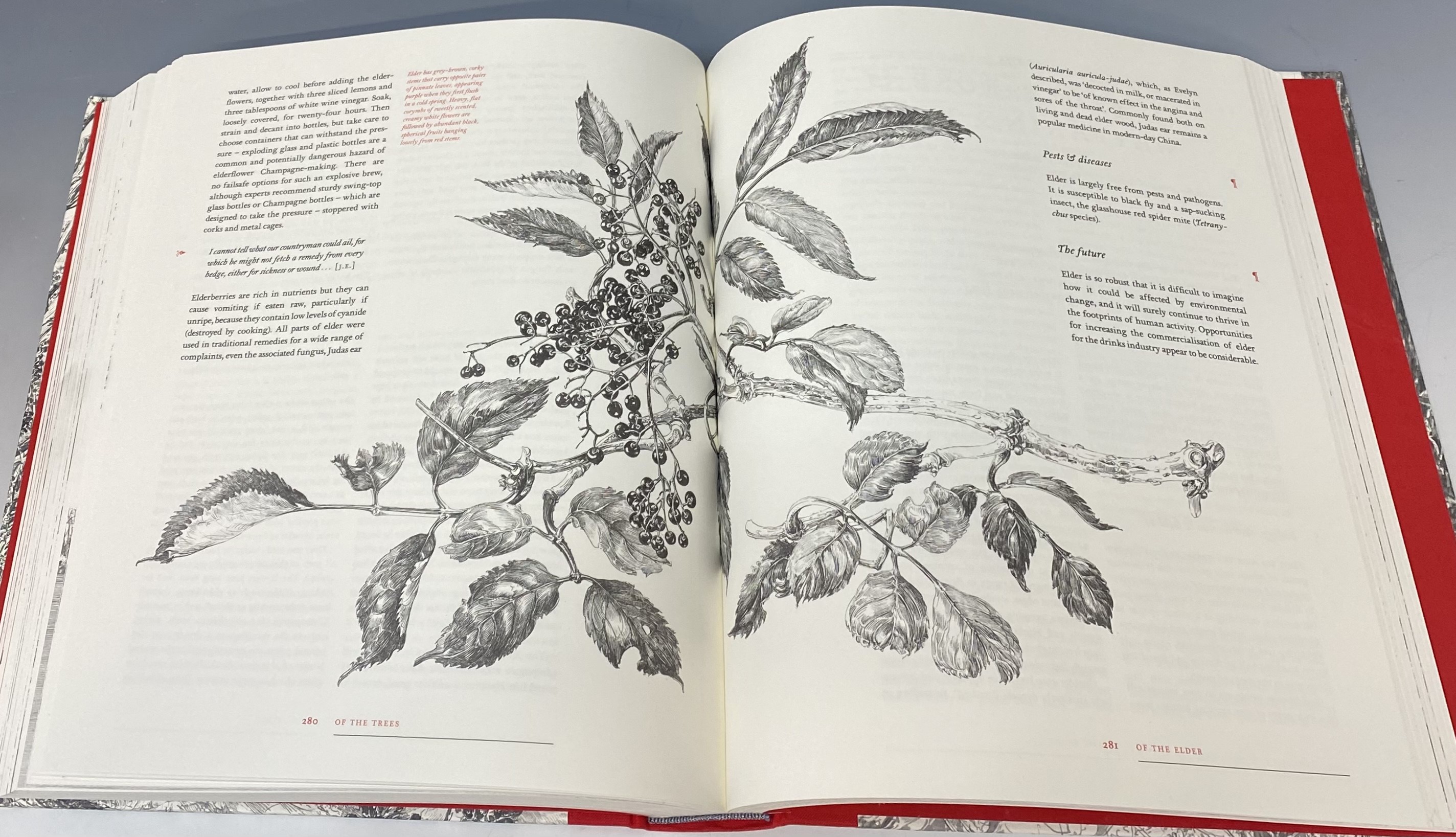 Lot 554 - GABRIEL HEMERY and SARAH SIMBLET. 'The New