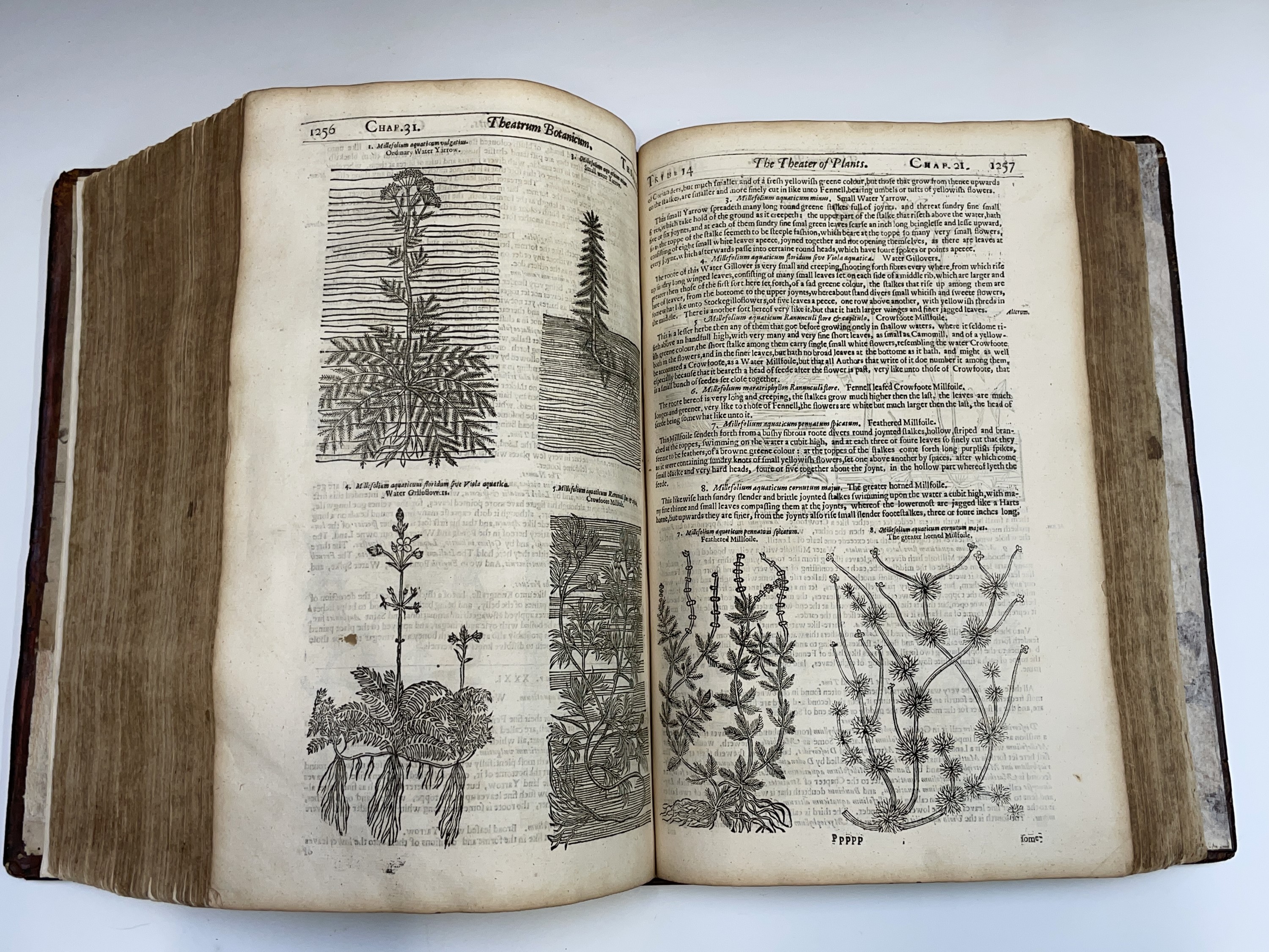 Lot 395 - JOHN PARKINSON. 'Theatrum Botanicum: The