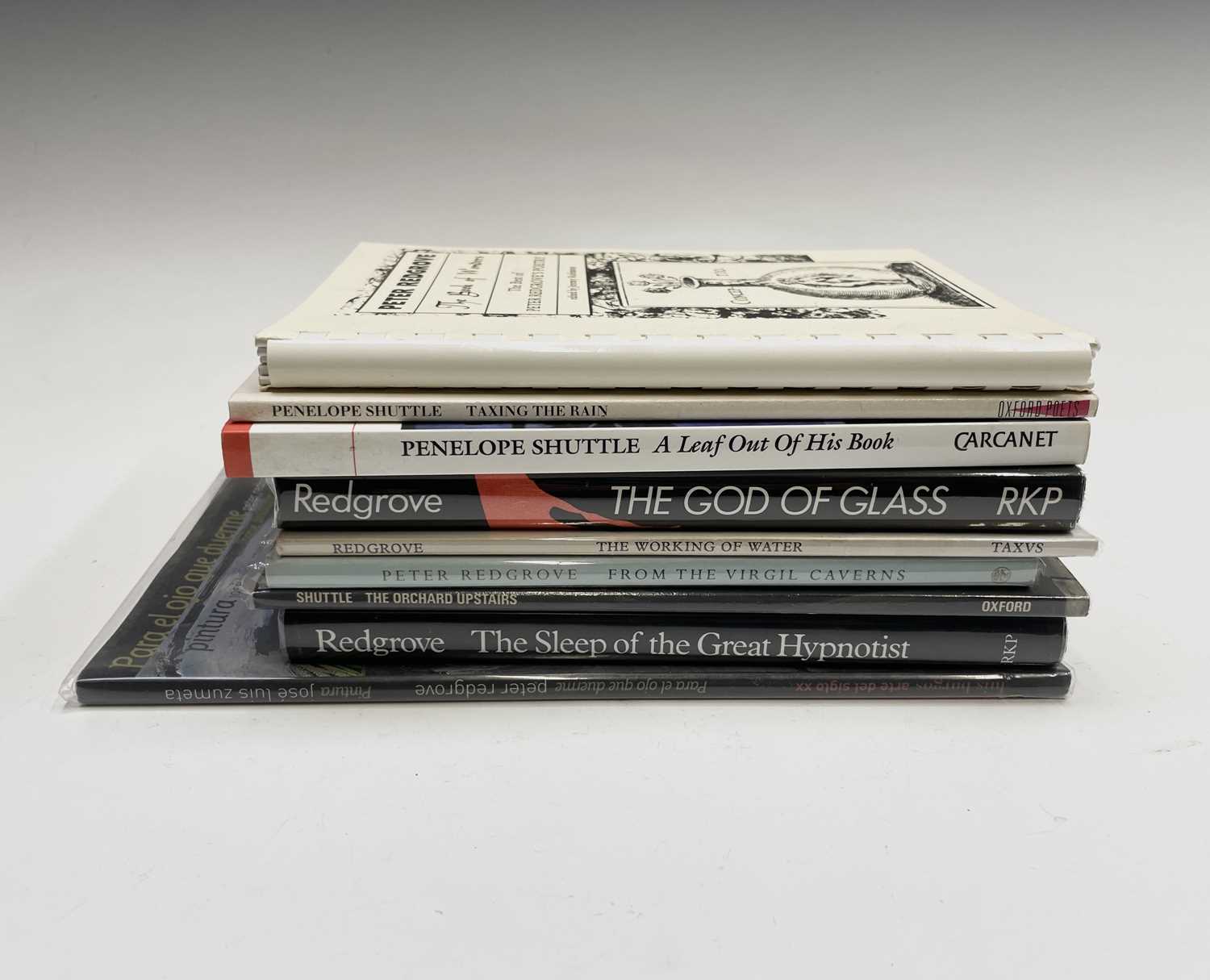 Lot 211 - PETER REDGROVE. 'From the Virgil Caverns.'