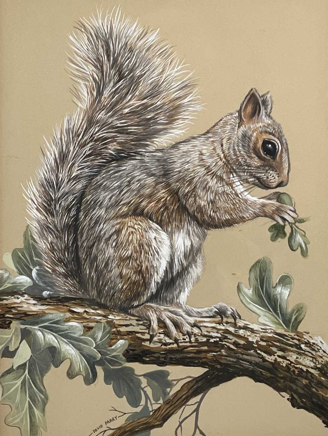 Lot 342 - David PARRY (1942) Lap Wings Gouache Signed