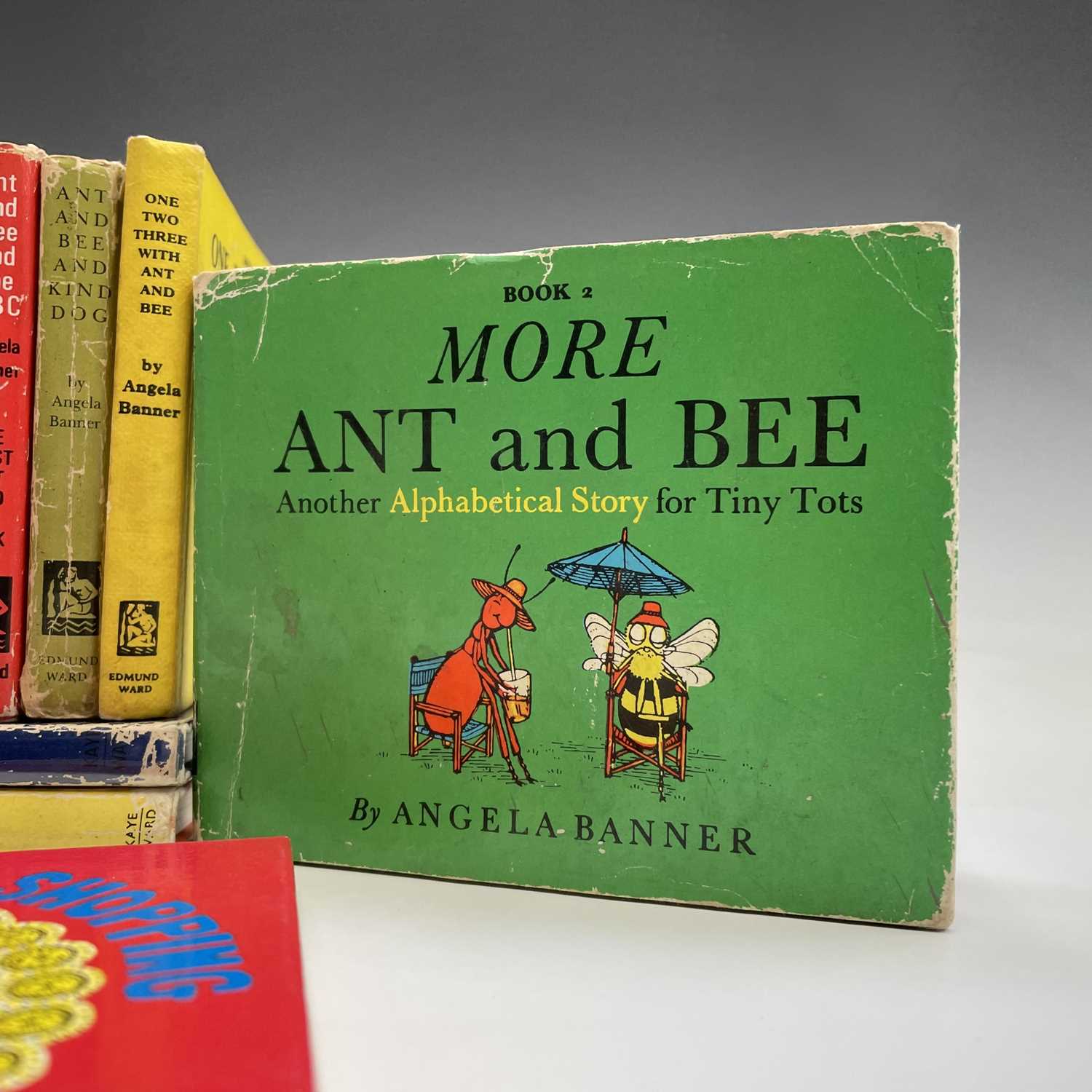 Lot 167 - ANGELA BANNER. Thirteen books of the 'Ant
