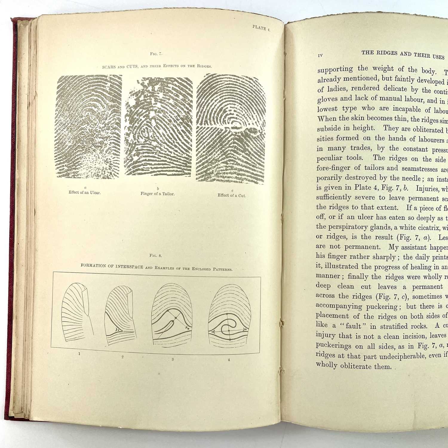 Lot 169 - FRANCIS GALTON. 'Finger Prints,' first