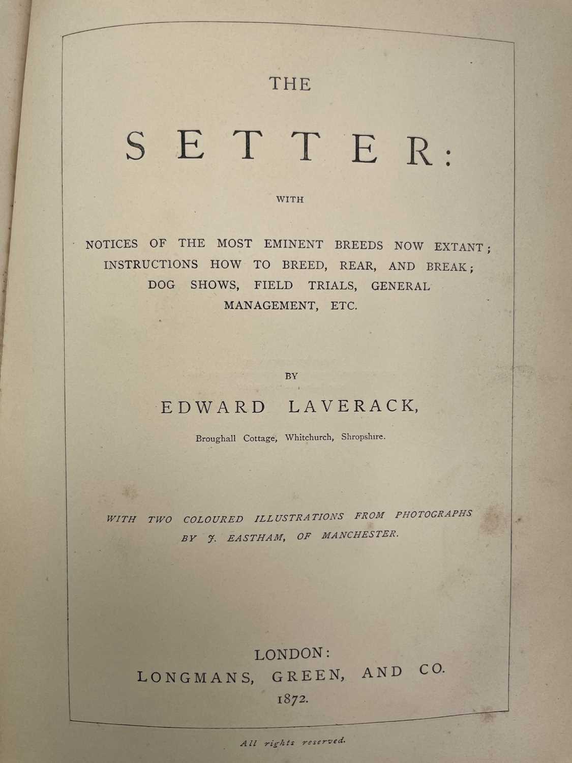 Lot 53 - EDWARD LAVERACK. 'The Setter,' pebbled cloth,