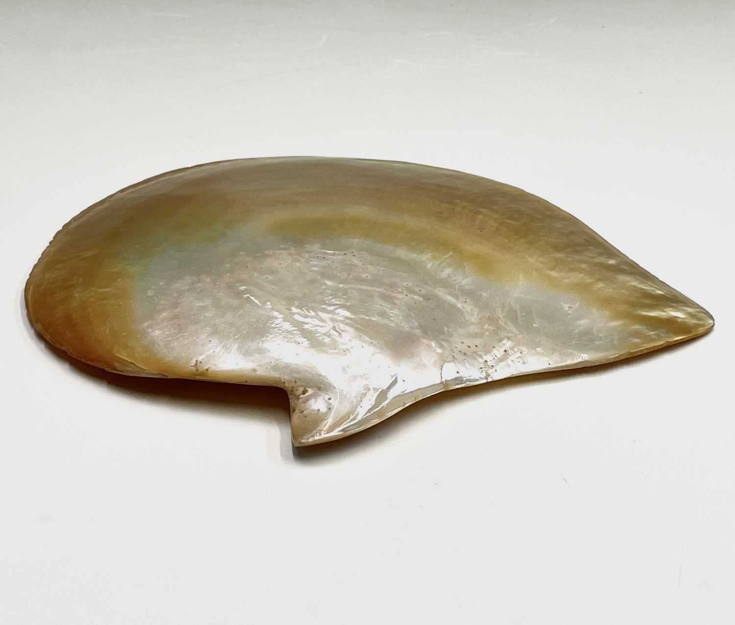 Lot 28 - A Chinese mother of pearl shell, circa 1900,