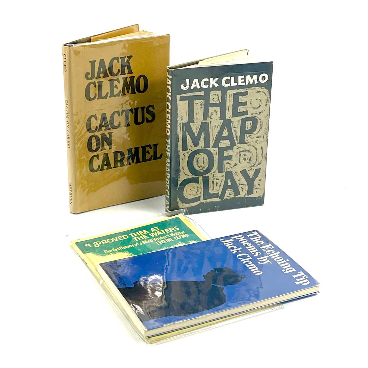 Lot 1175 - JACK CLEMO. 'Cactus on Carmel,' first