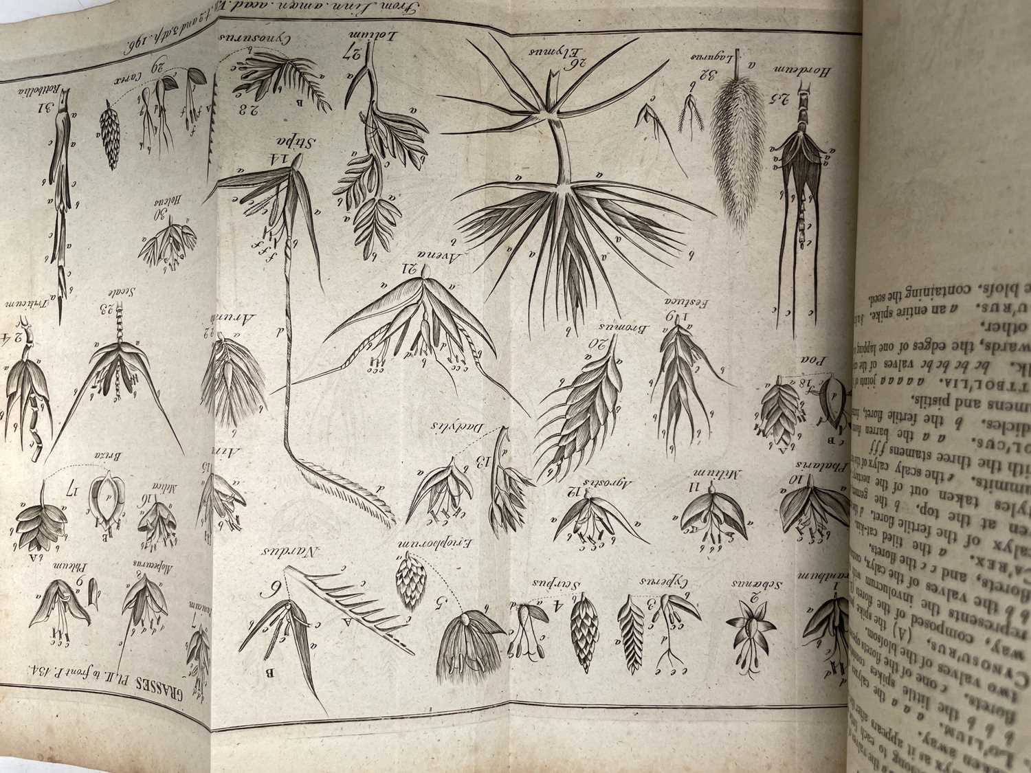 Lot 1142 - WILLIAM WITHERING. 'An Arrangement of