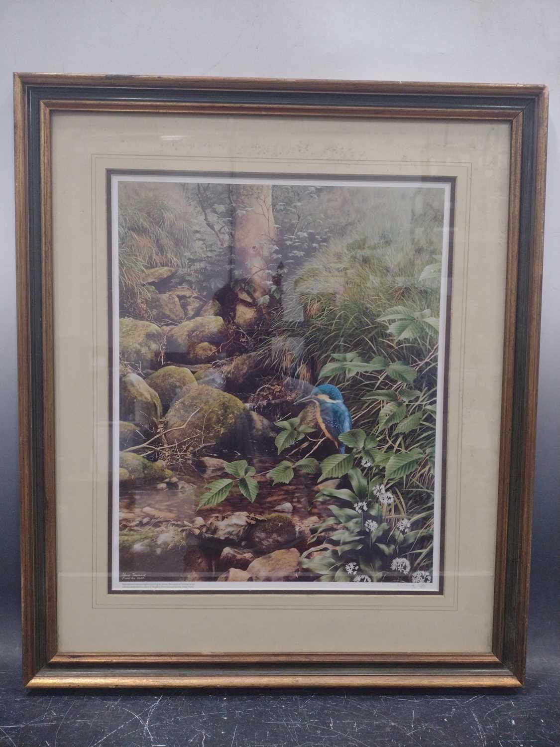 Lot 133 - Steve TOWNSEND (1955)