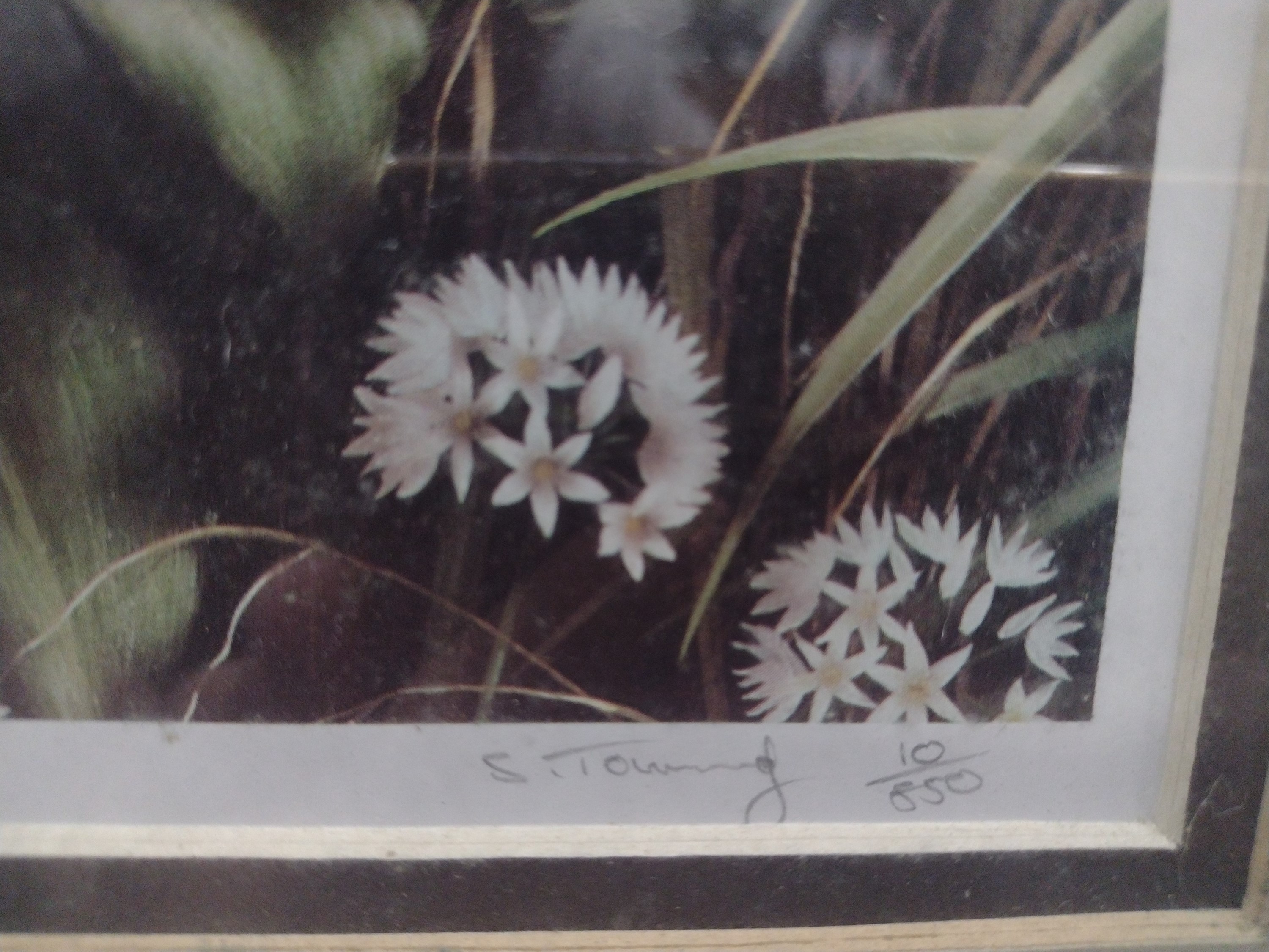 Lot 133 - Steve TOWNSEND (1955)