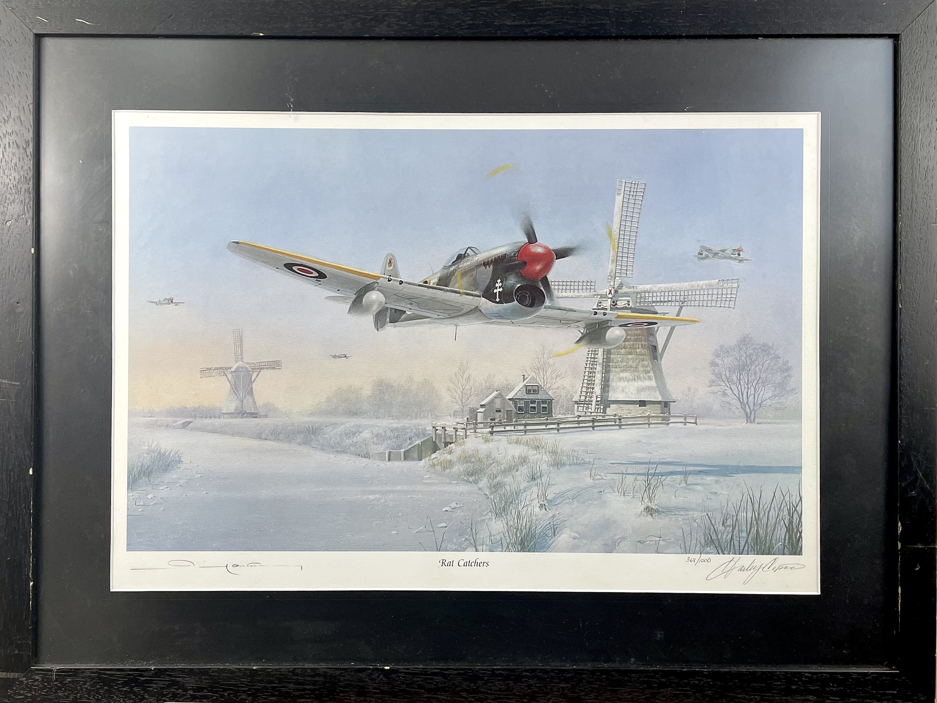Lot 107 - A picture of the Hawker Tempest aircraft of