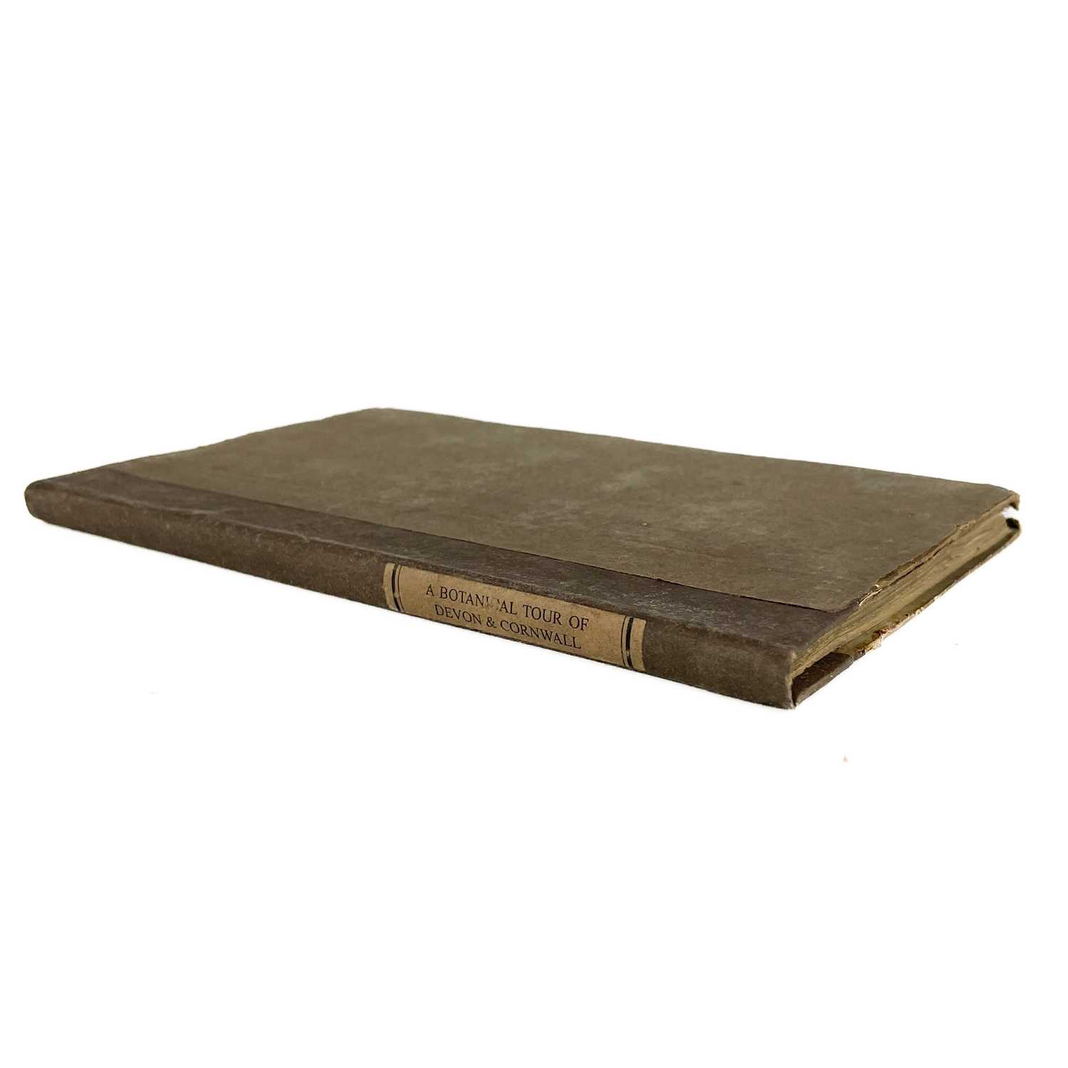 Lot 727 - John Pike Jones. 'A Botanical Tour Through